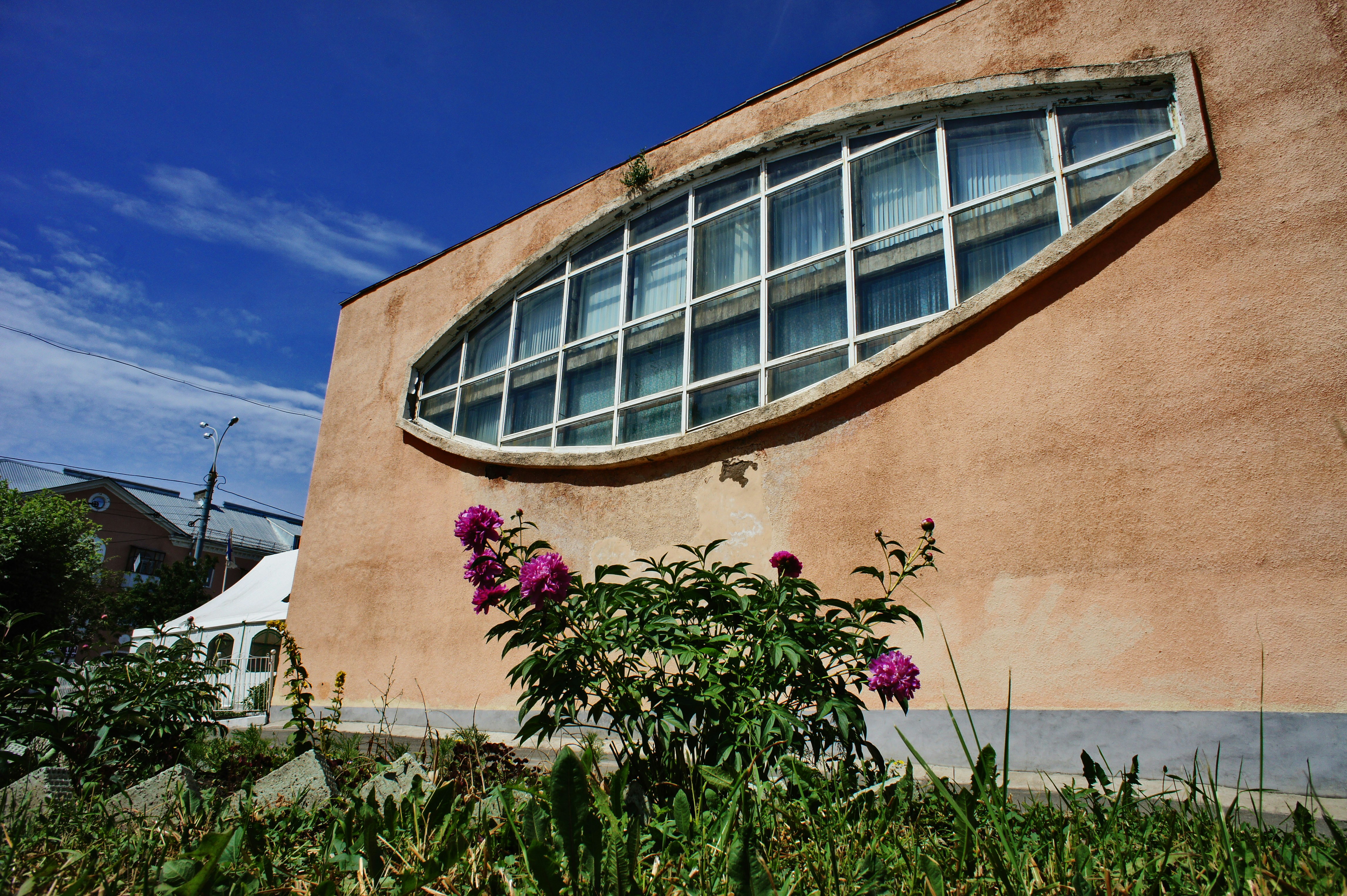 Sunlit Facade and Blooming Border