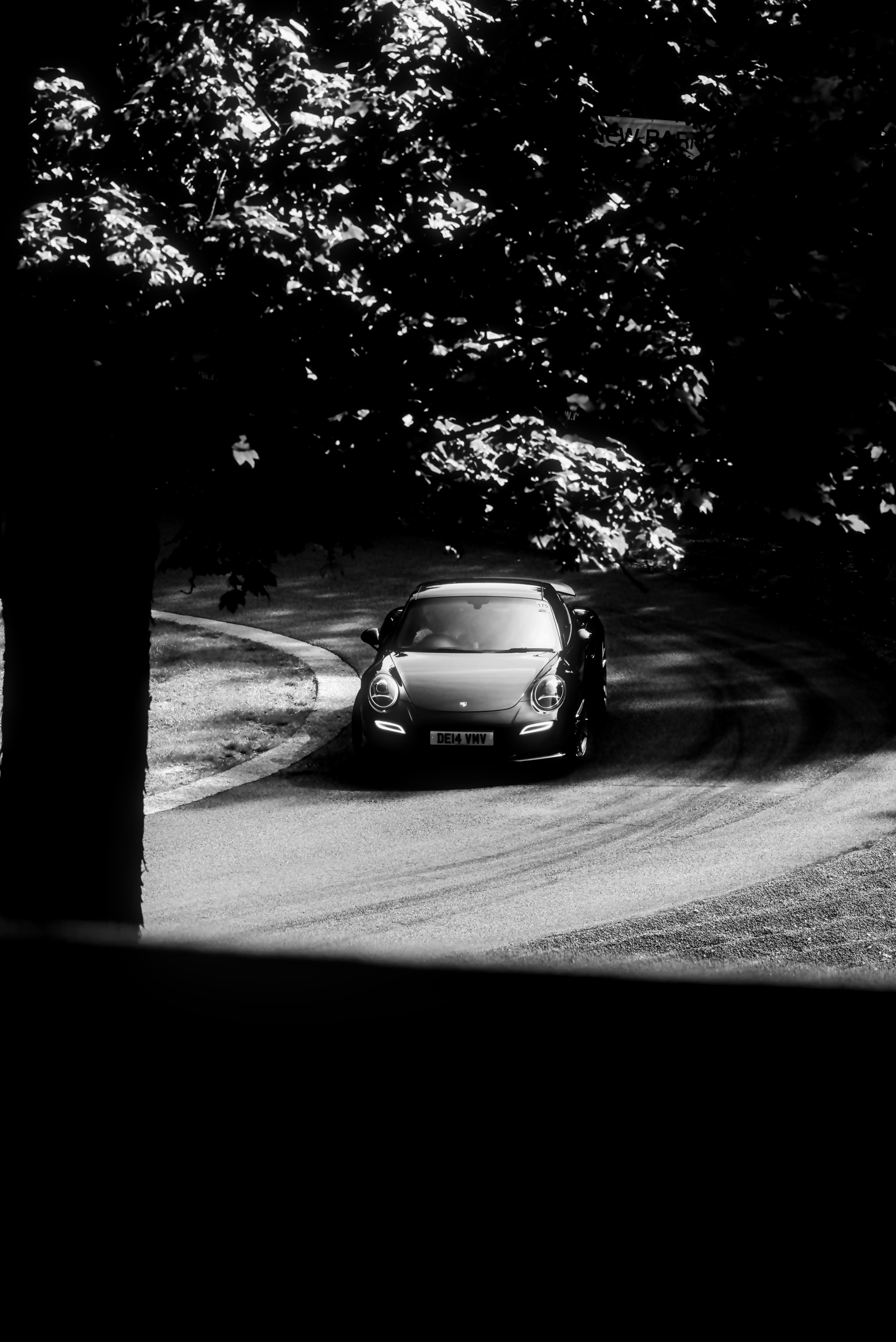 Porsche on the Curved Forest Road