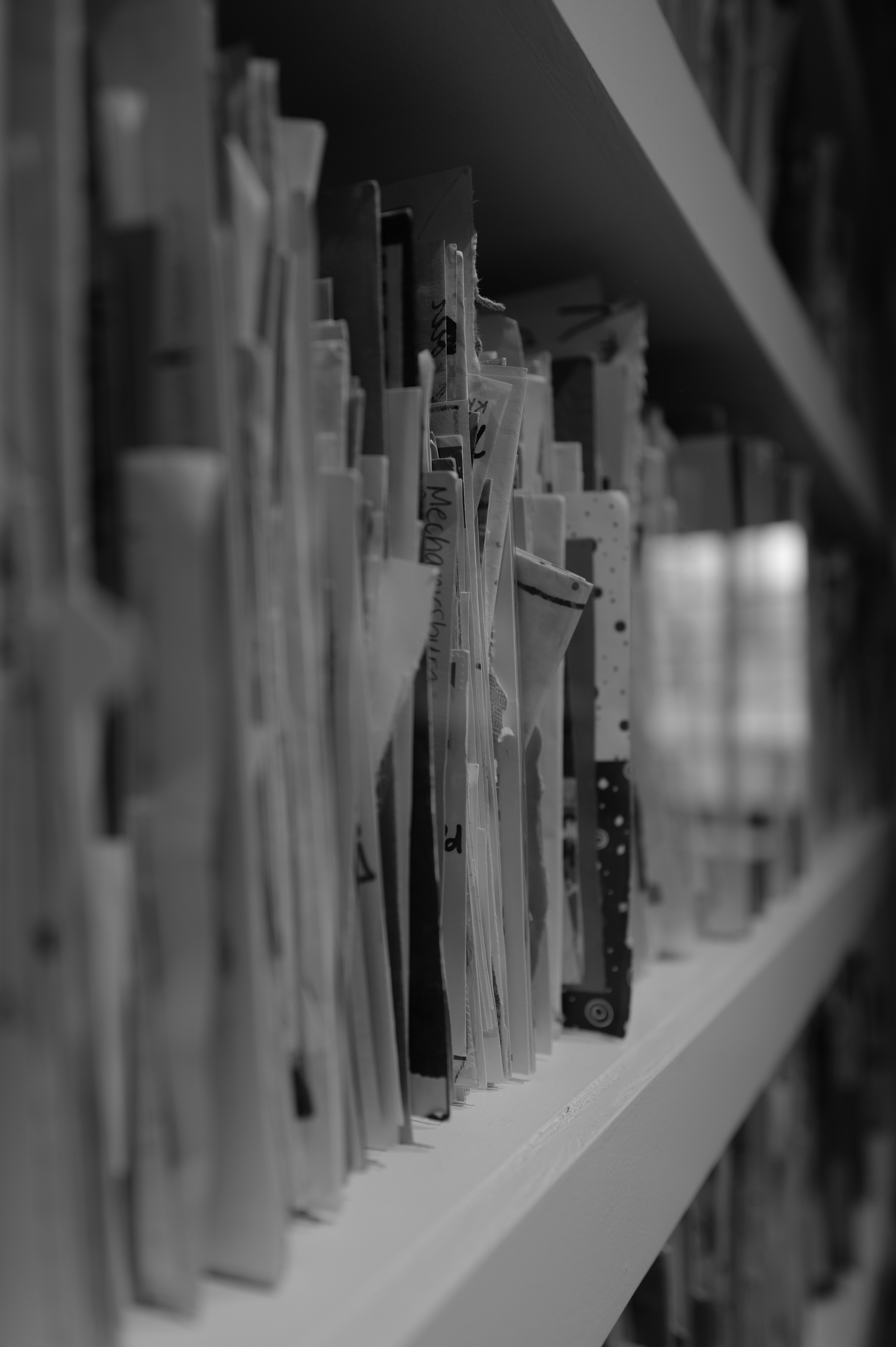 Rows of Papers: A Monochrome Library in Soft Focus