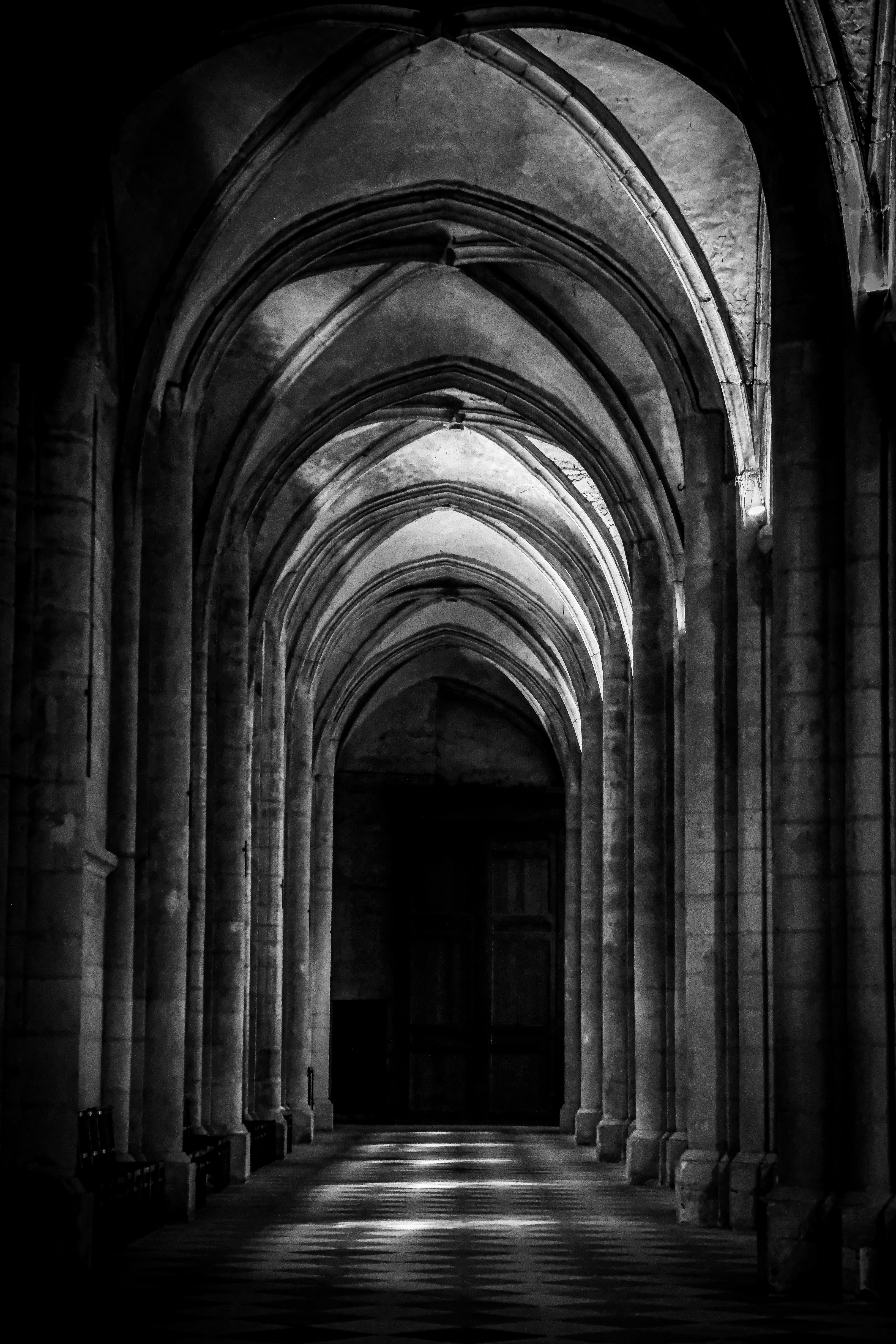 Echoes of Vaulted Silence