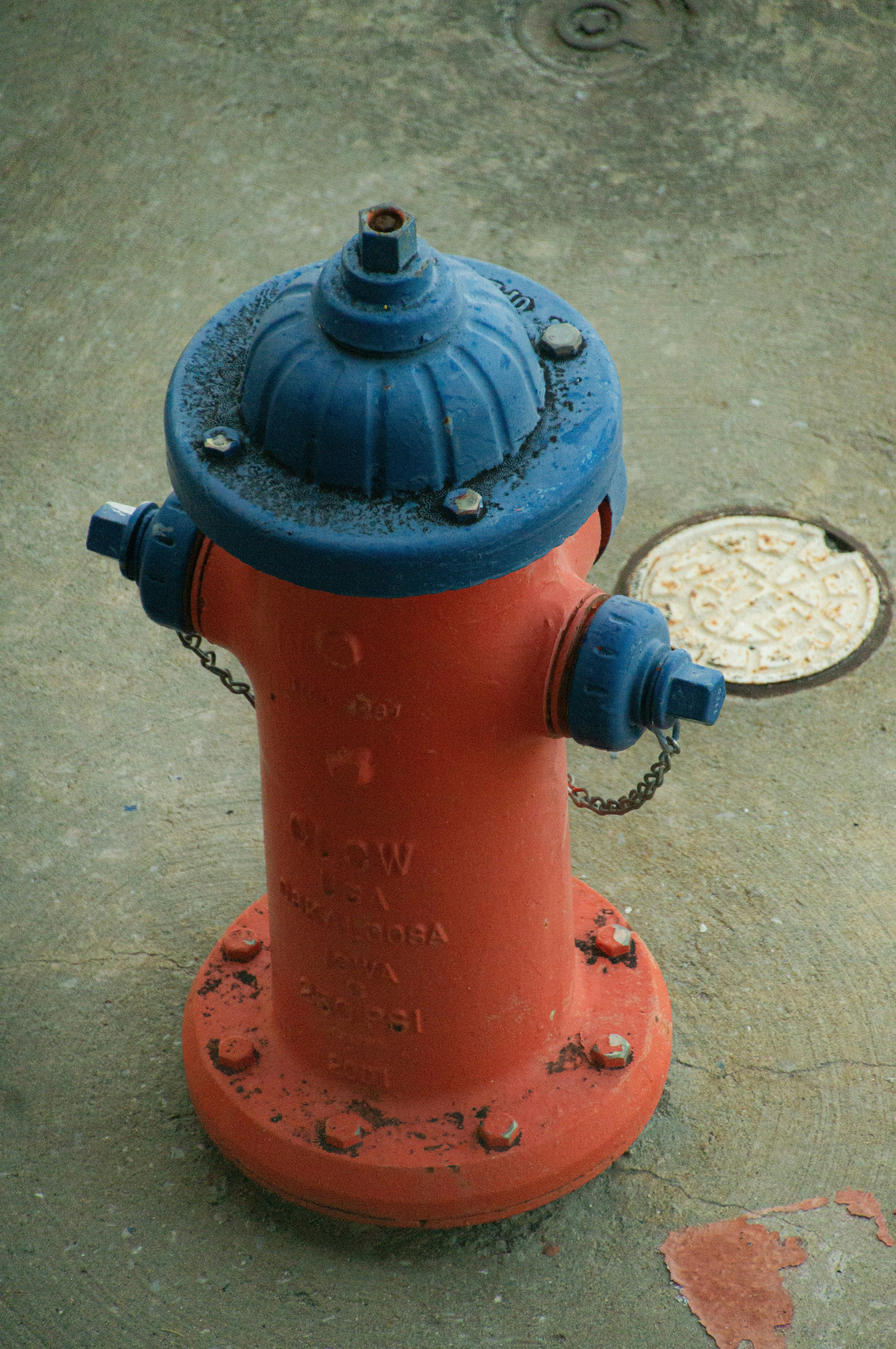 Red Fire Hydrant Reaching Skyward Against Rain-Speckled Concrete
