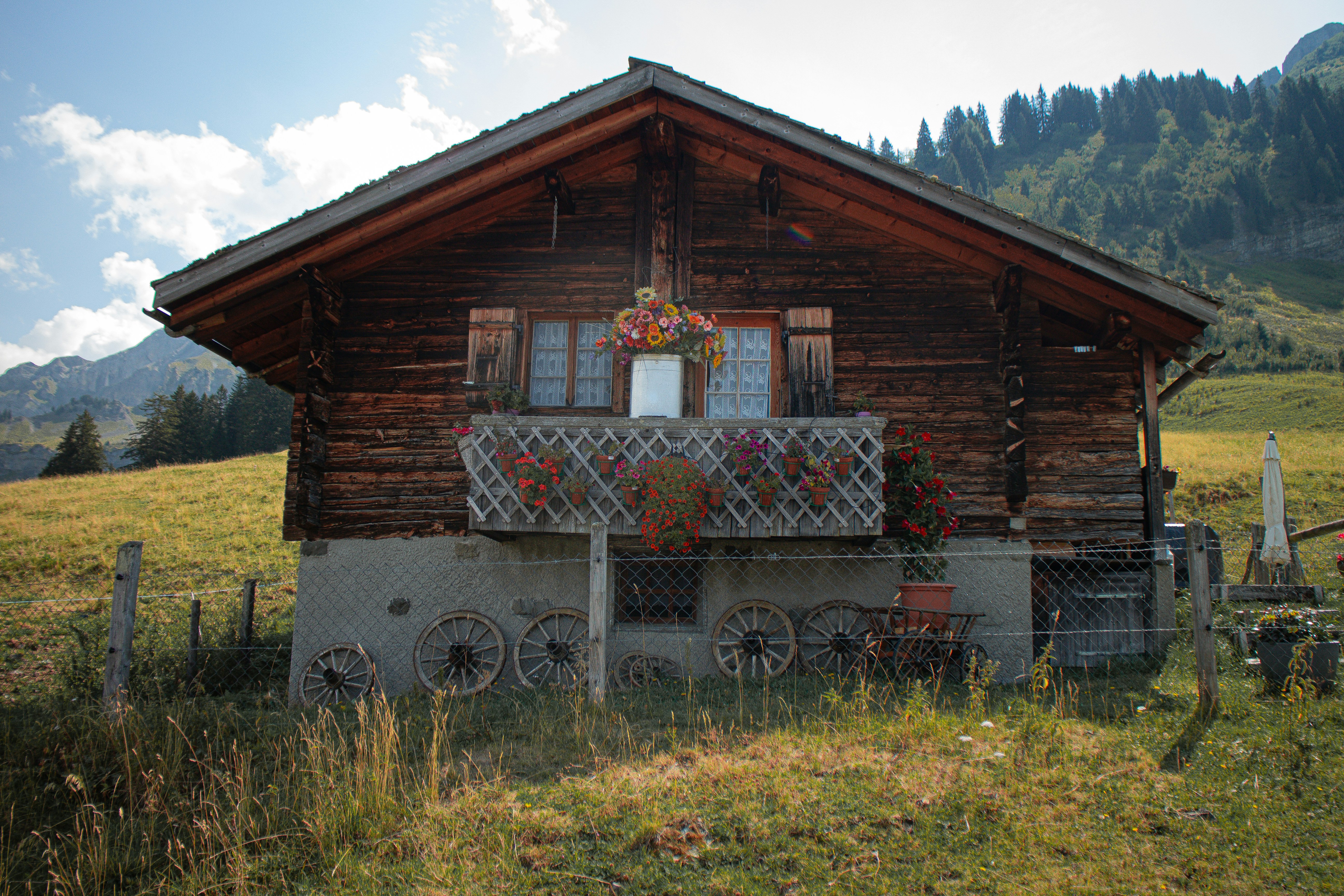 Cozy Alpine Cabin Adorned with Flowers