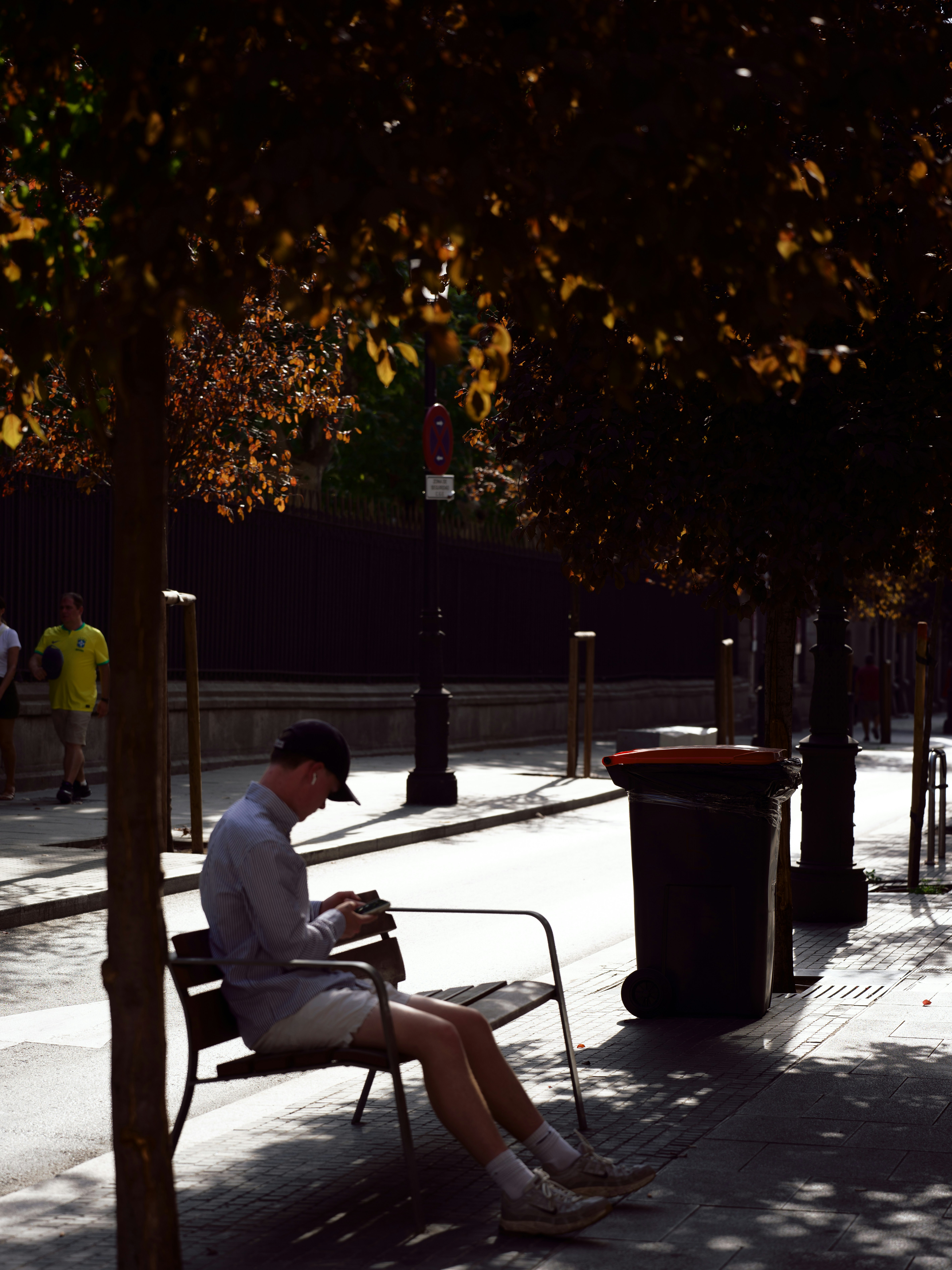 A lone man in a light shirt and cap sits on a park bench reading, shaded by trees on a sunlit city street.
