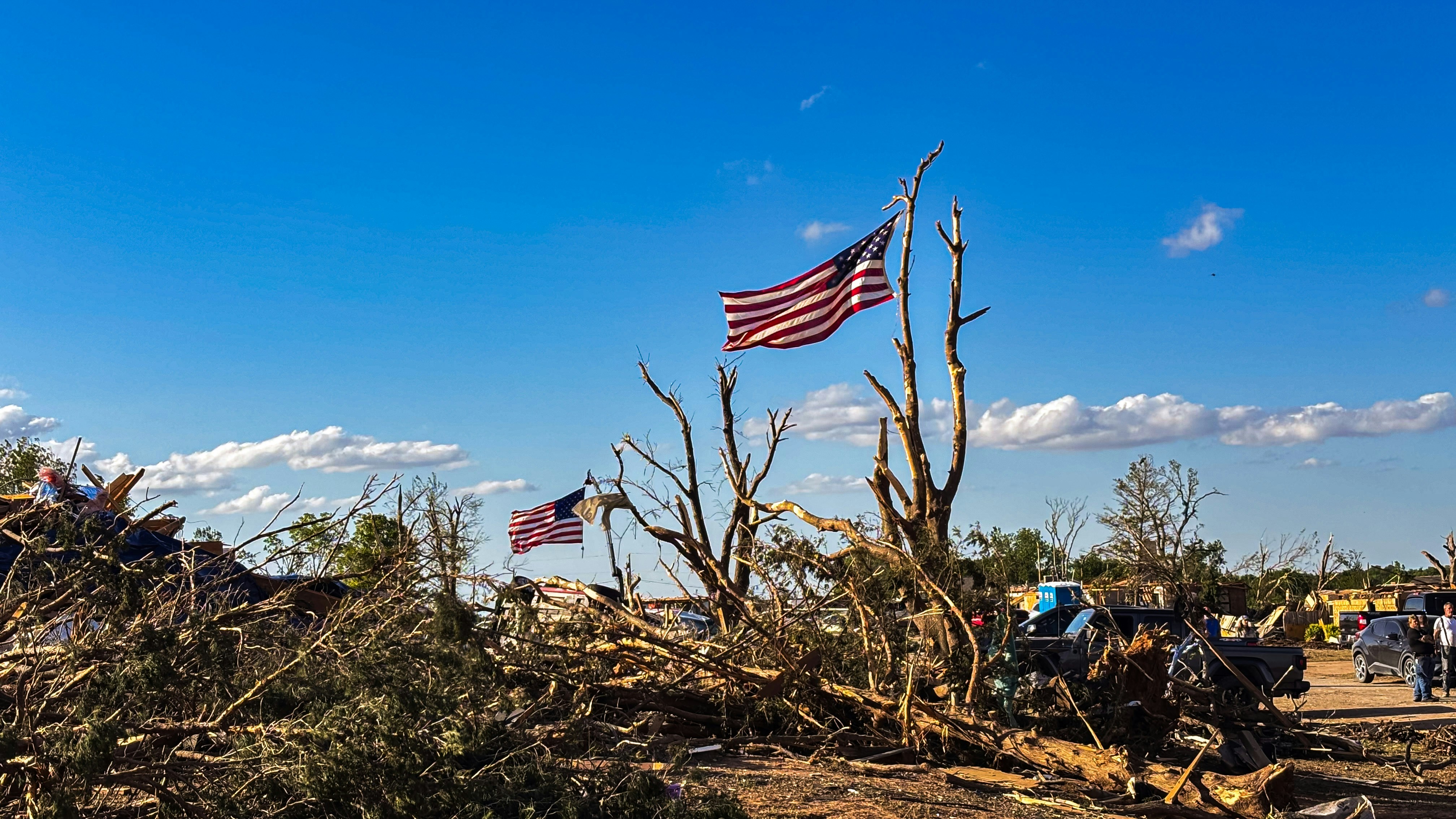 Flag Among Fallen Branches: A Post-Disaster Scene in Bright Daylight