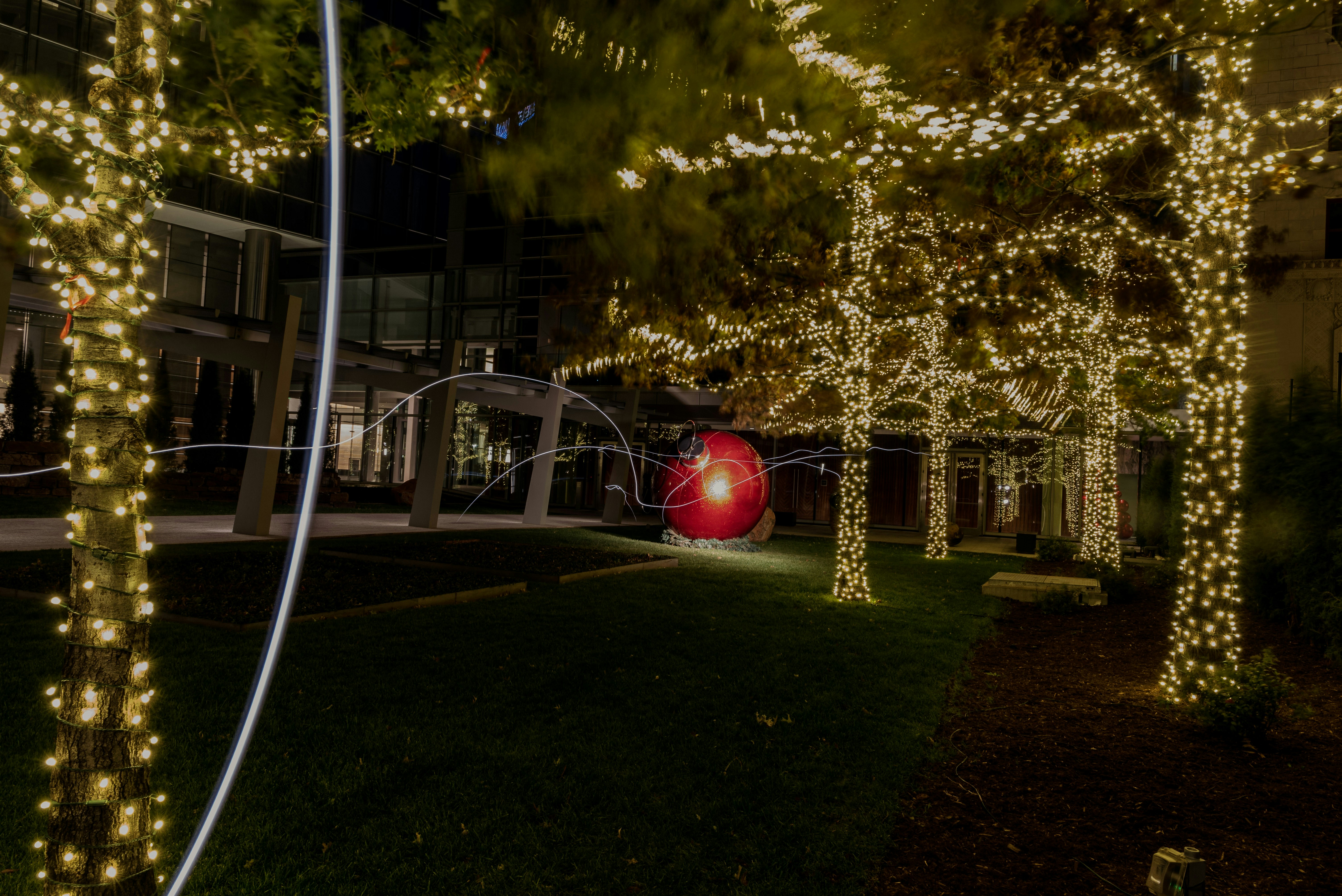 Glowing Arboreal Arcade: Night Lights Framing a Red Center