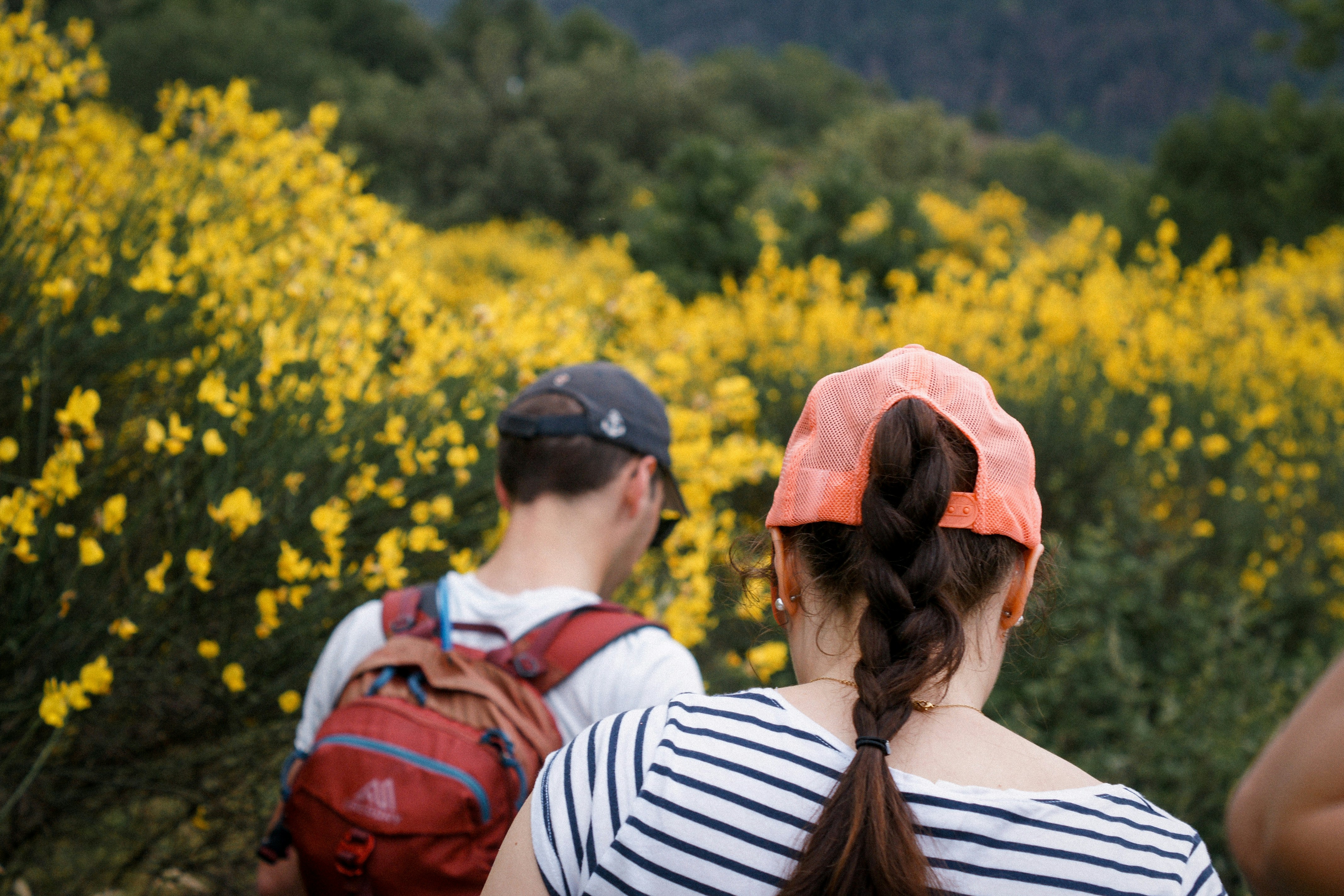 Backlit Trails: Striding into a Sea of Yellow Blossoms