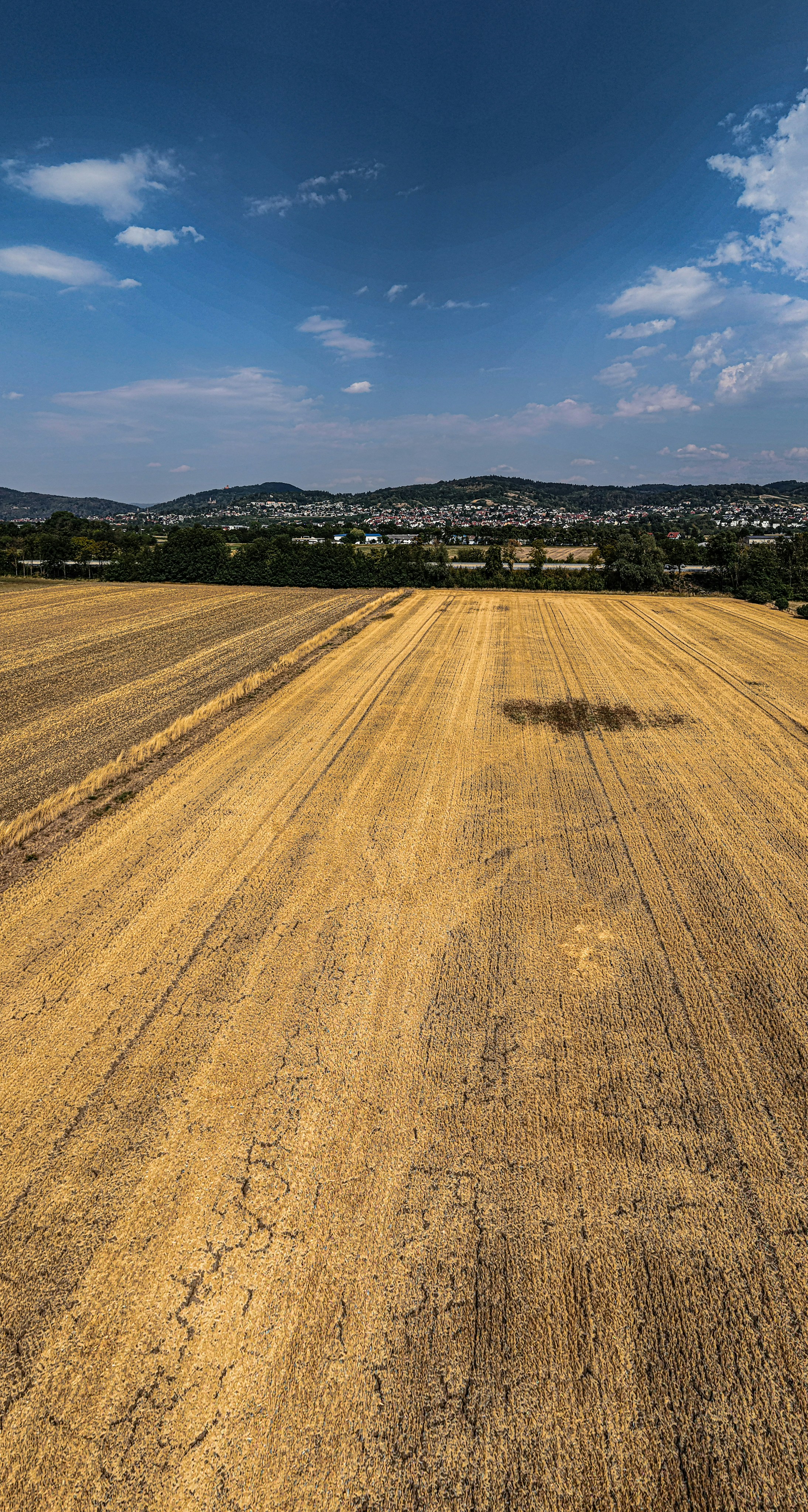 Golden Field Stretch Toward a Quiet Horizon