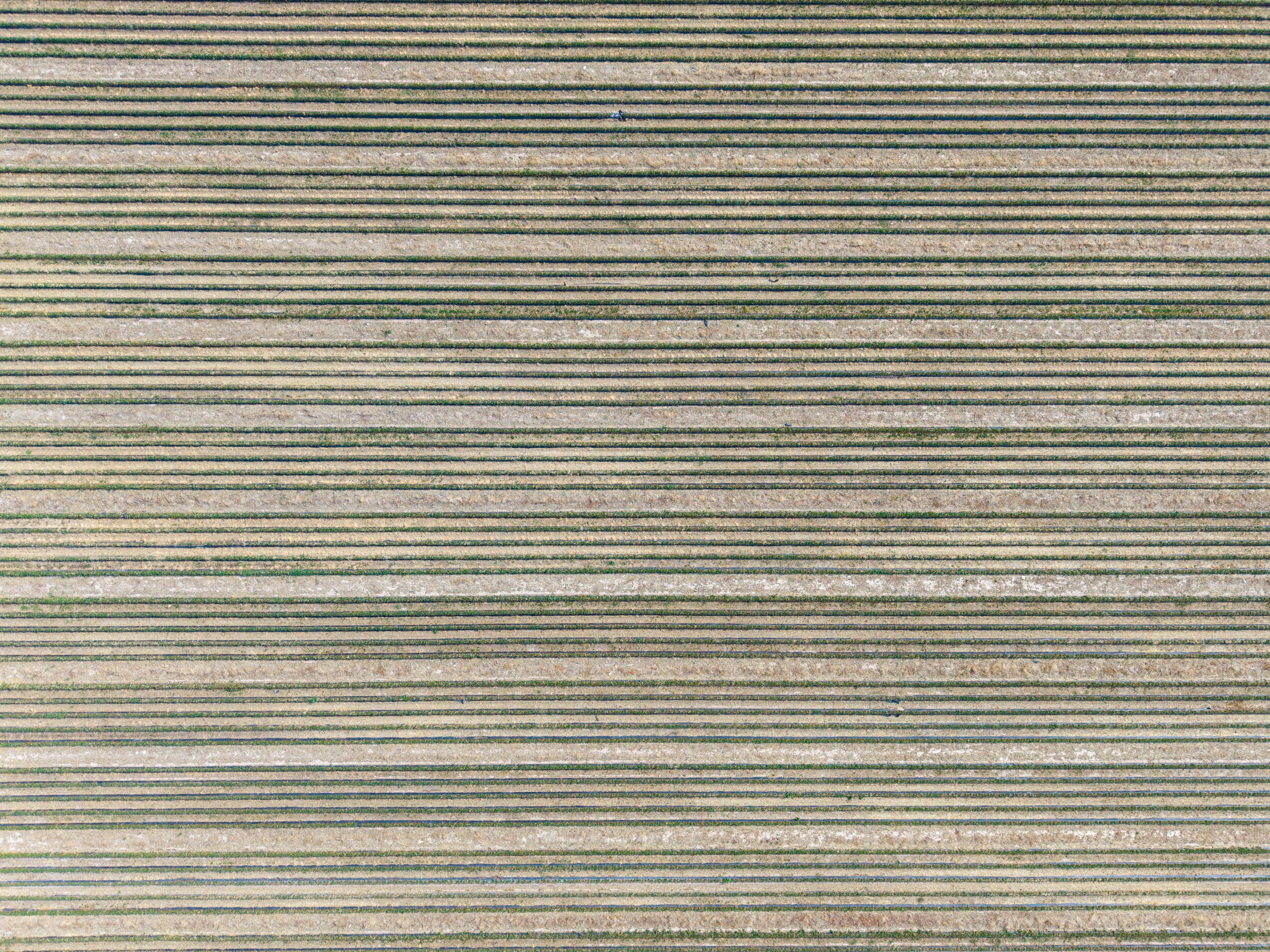 Lines in Harmony: A Close-Up of Repeating Steps