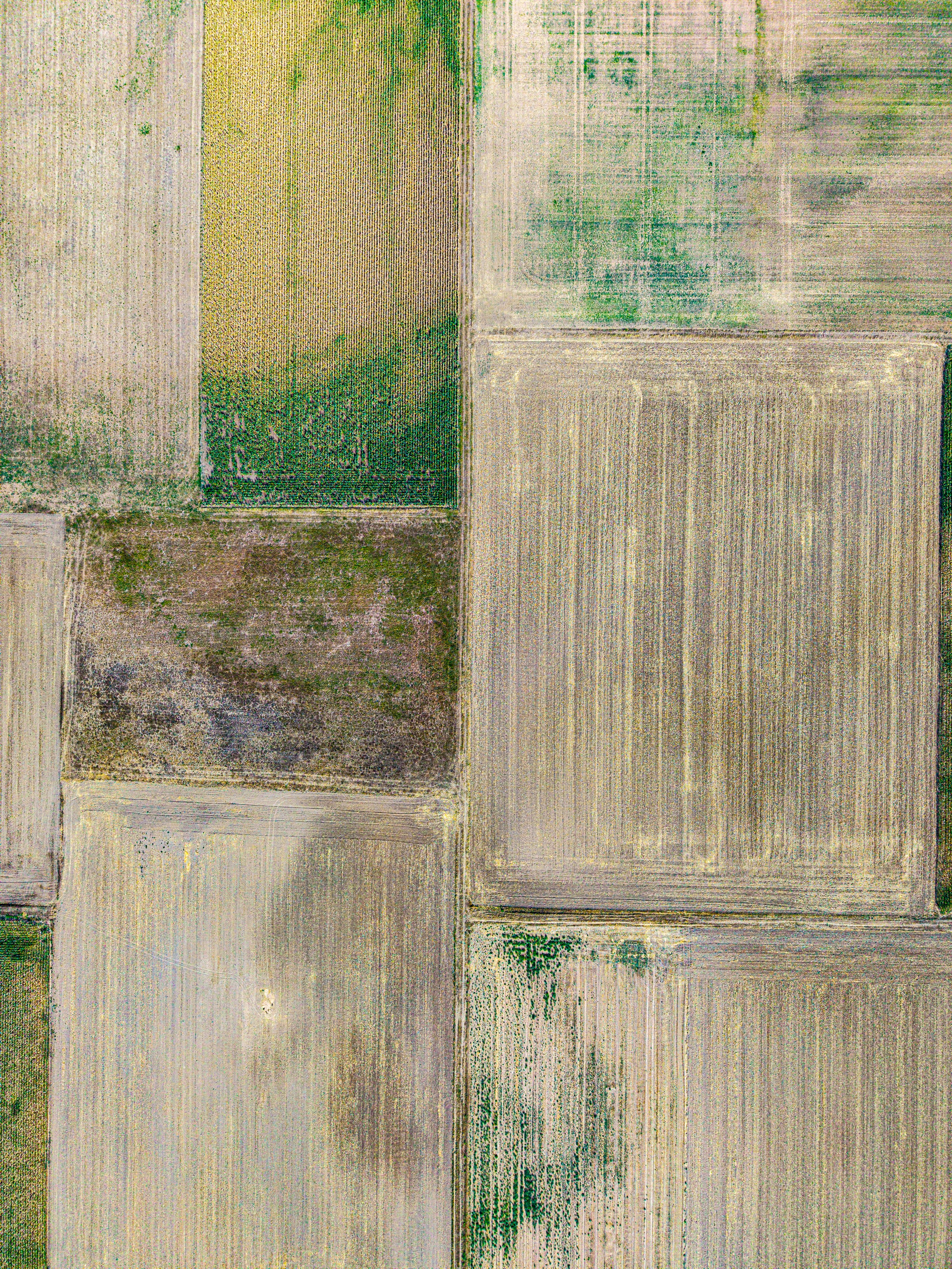 Aerial Quilt: Patchwork Fields from Above
