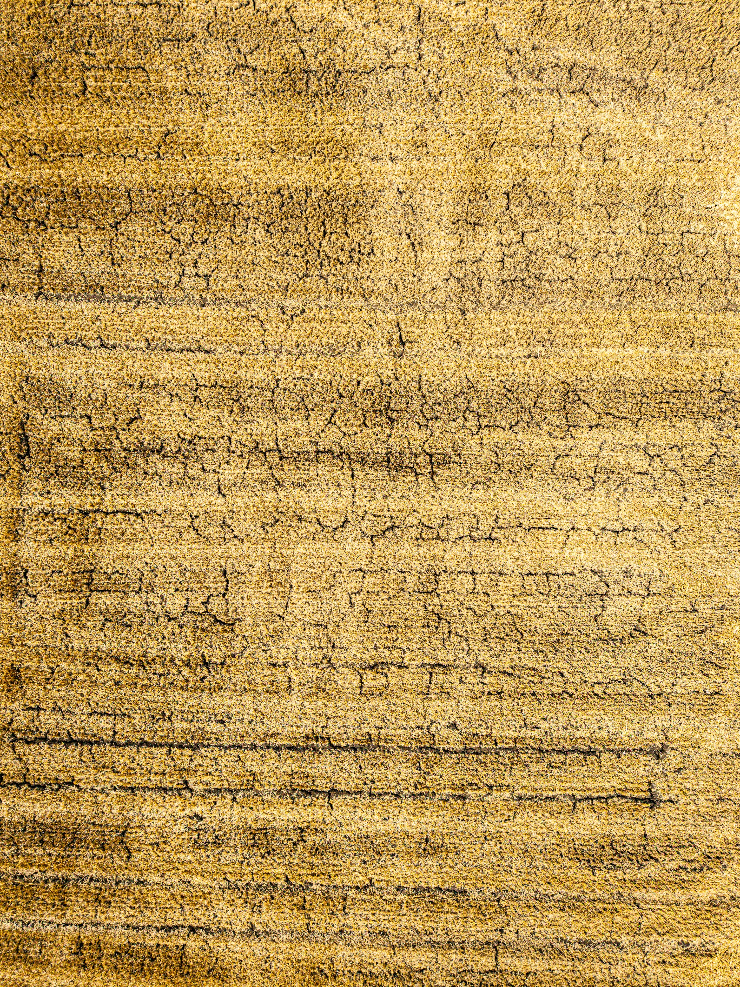 Ancient Script in Golden Haze