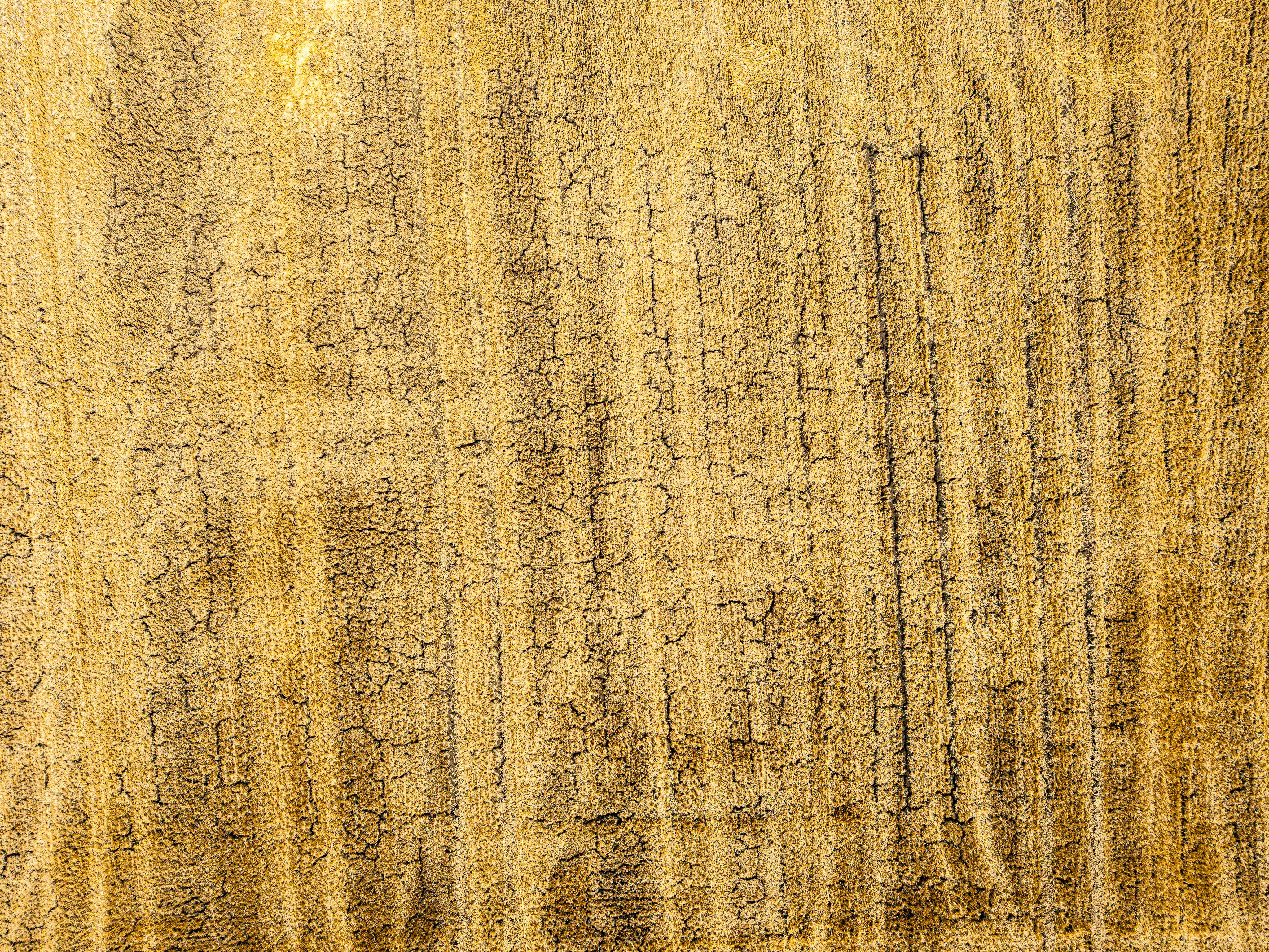 Weathered Grain: Close Look at Rustic Wood Texture