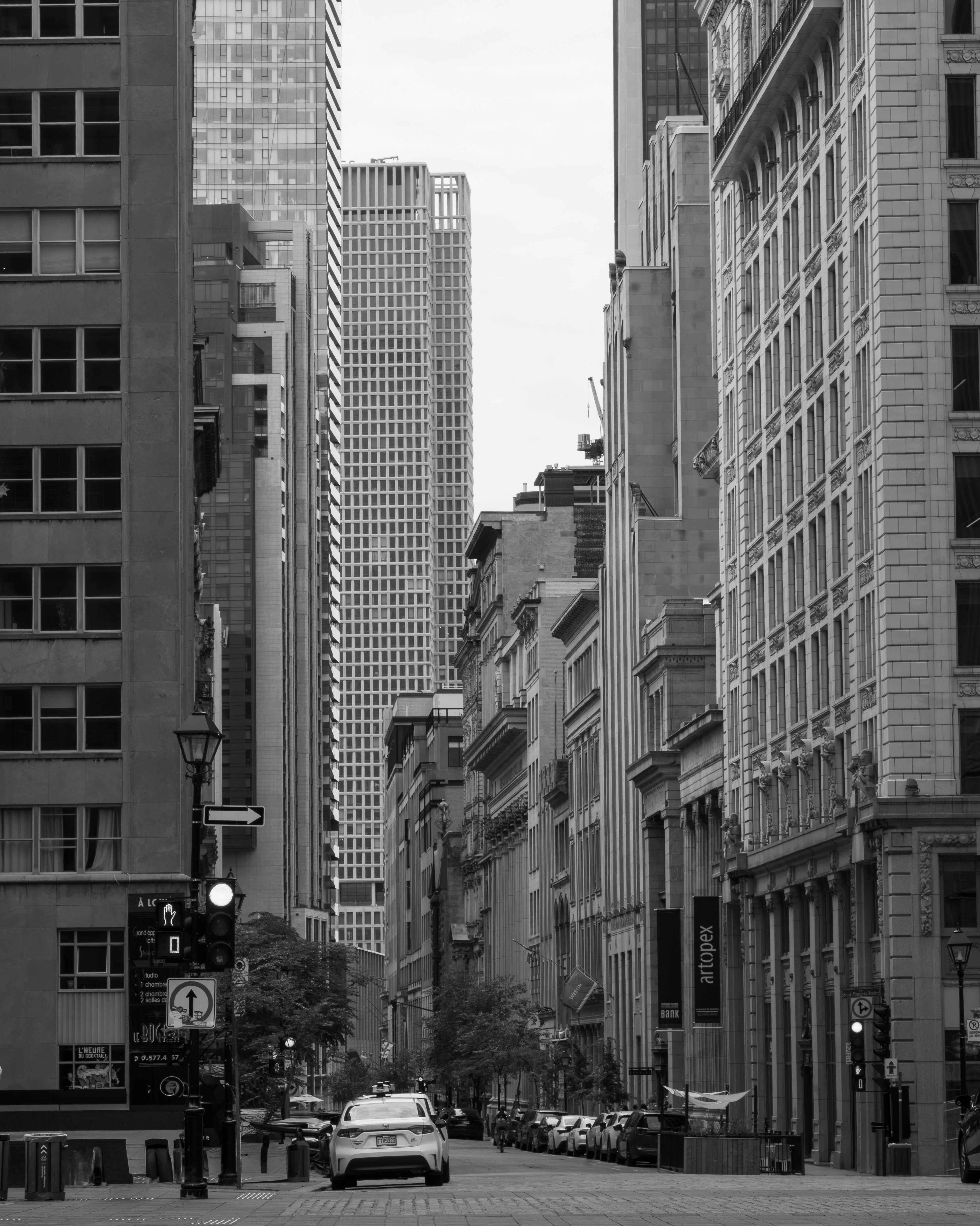 Urban Spine: A Quiet Street Between Glass and Stone