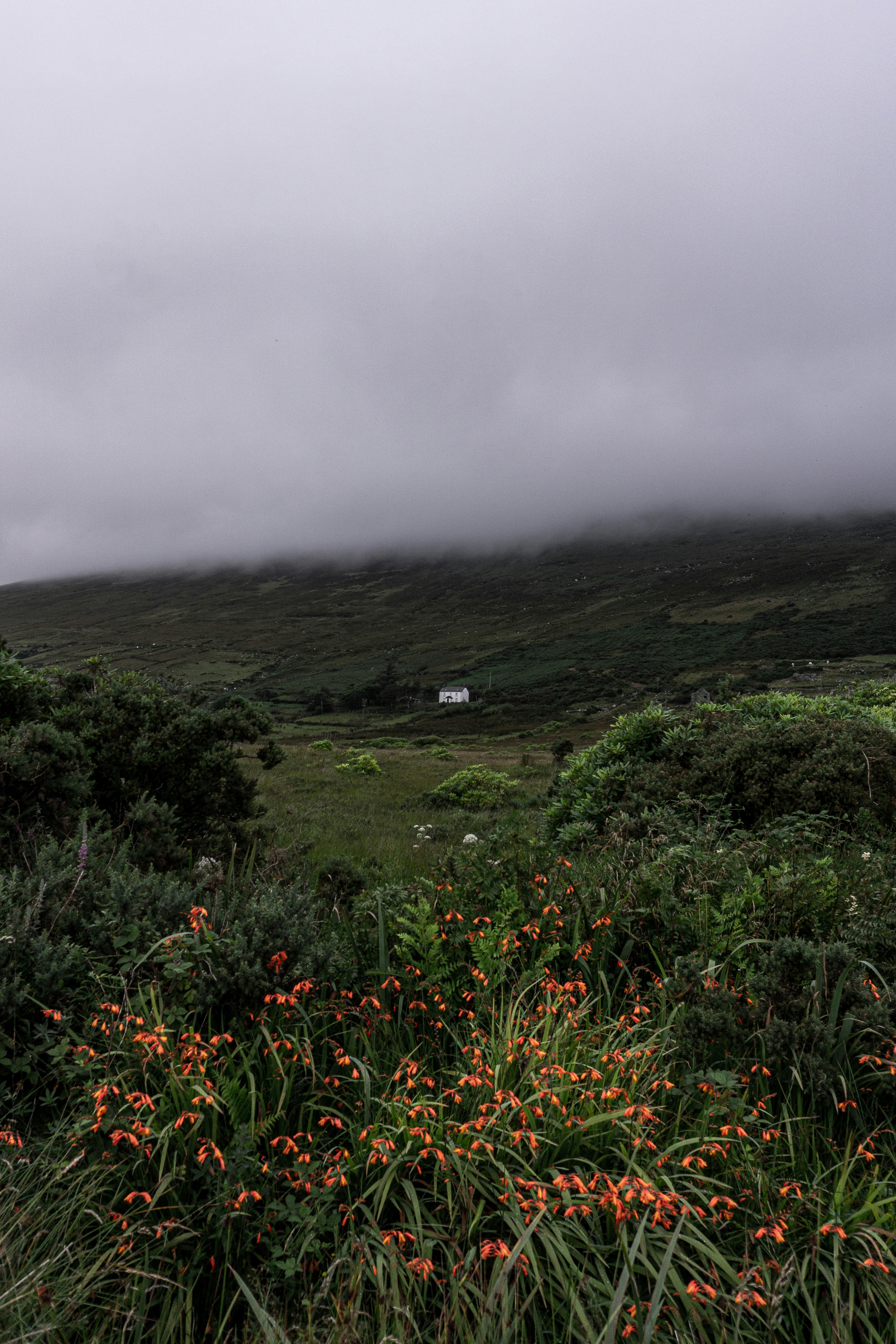 Misty Valley with a Lone Cottage Under Low Clouds