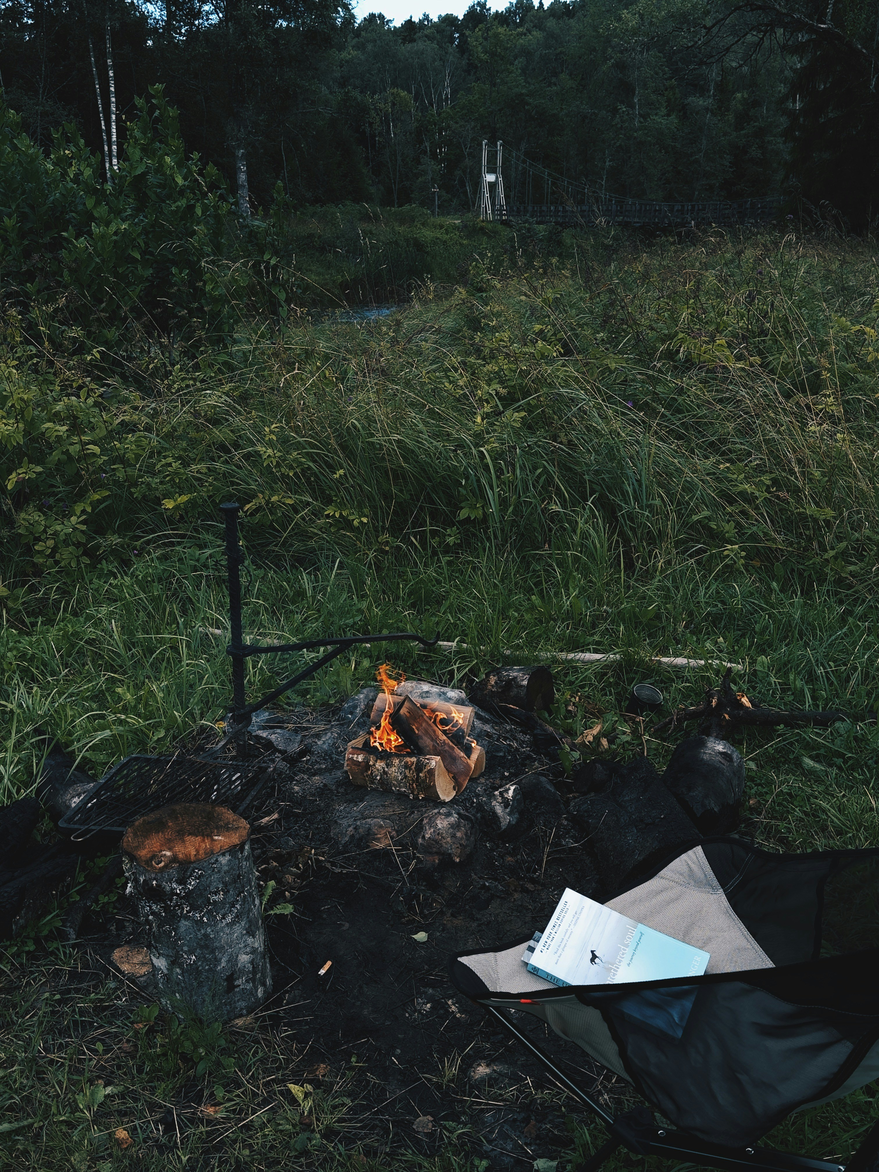 Evening Firelight by the Overgrown Camp