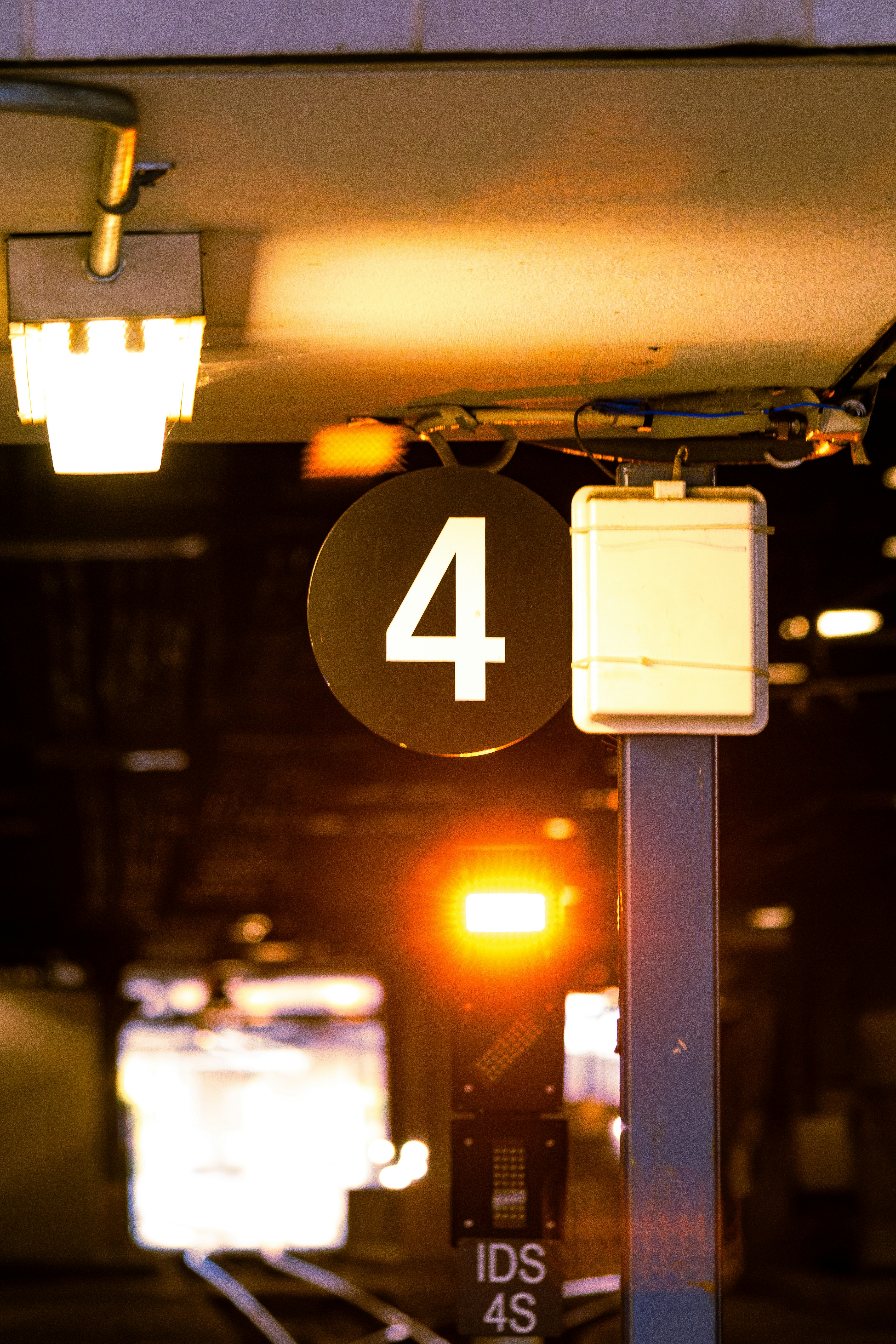 Platform 4: Neon Glow and the Quiet Signal