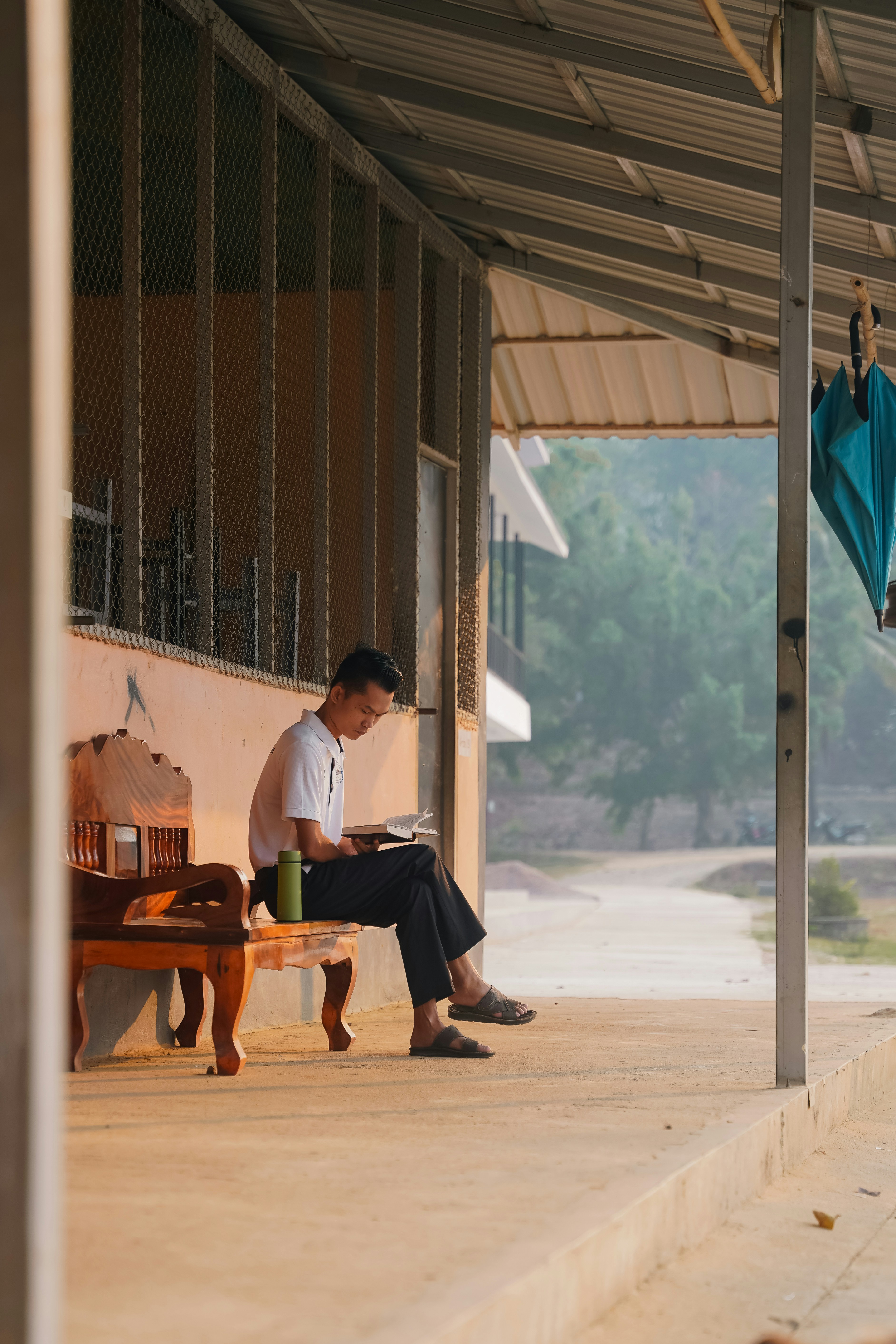 Reading in the Quiet Colonnade