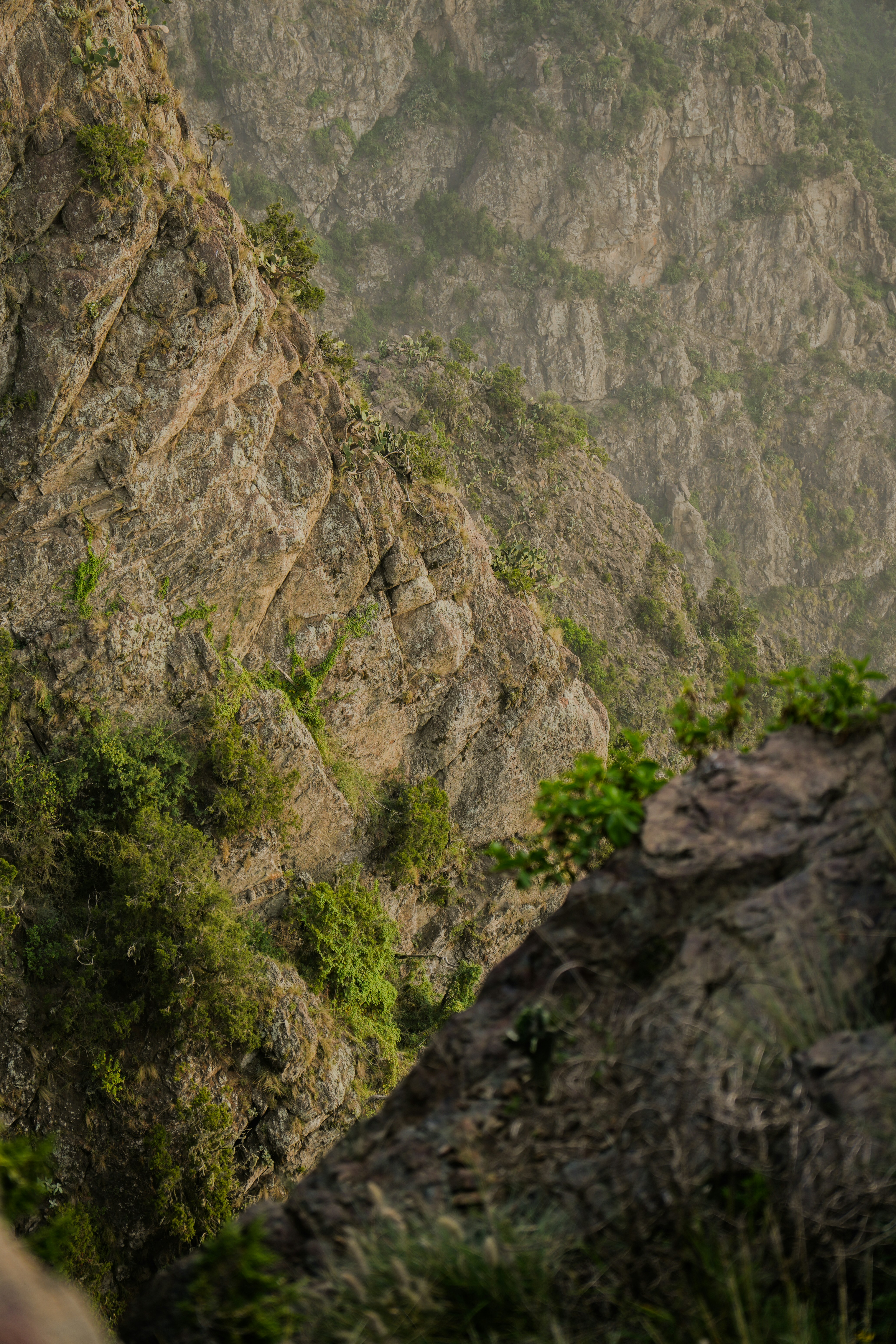 Rugged Crest: A Narrow View Along the Cliffside Ridge