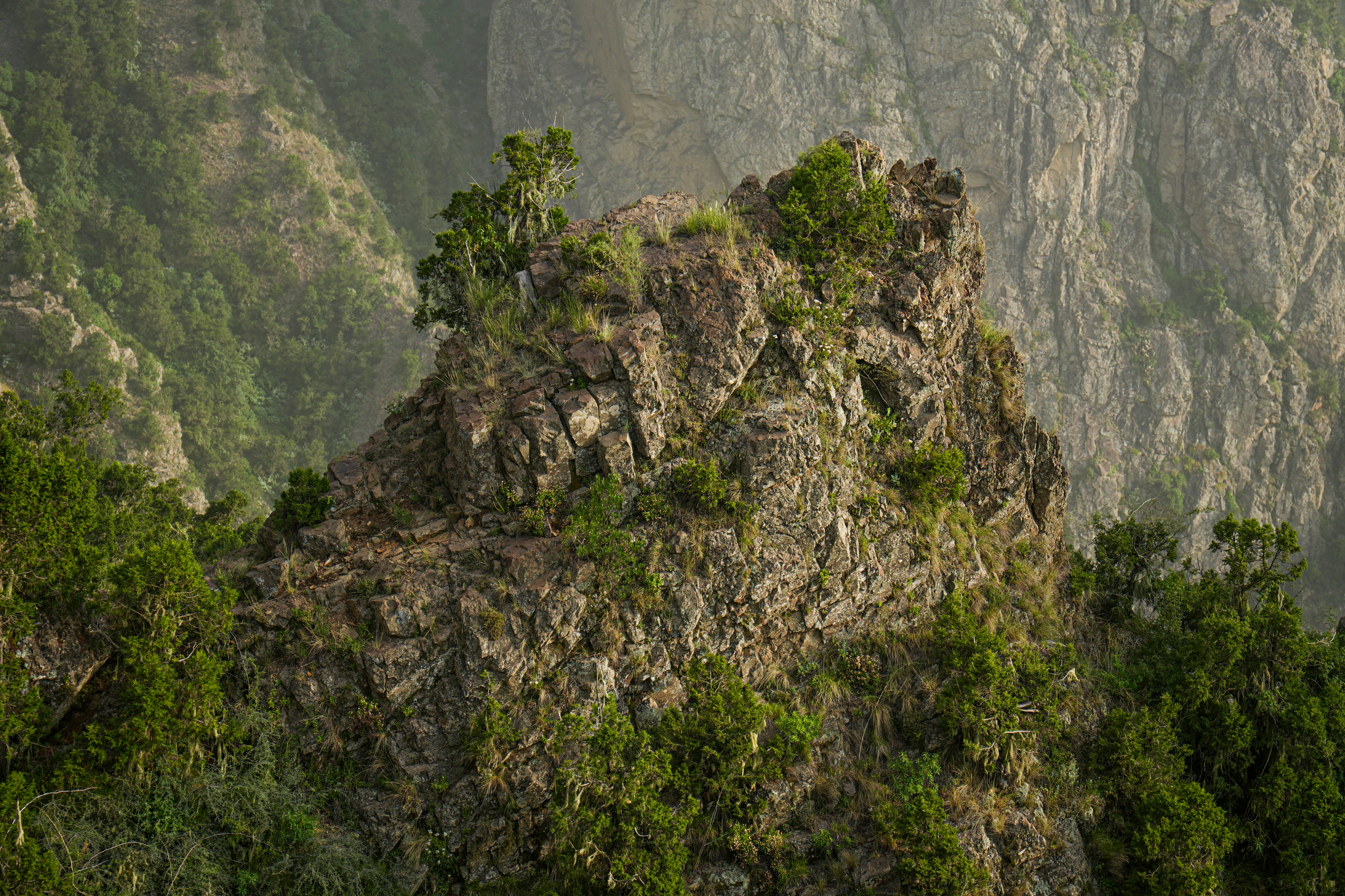 Photo by bader Abdullah with Sony Alpha 6700