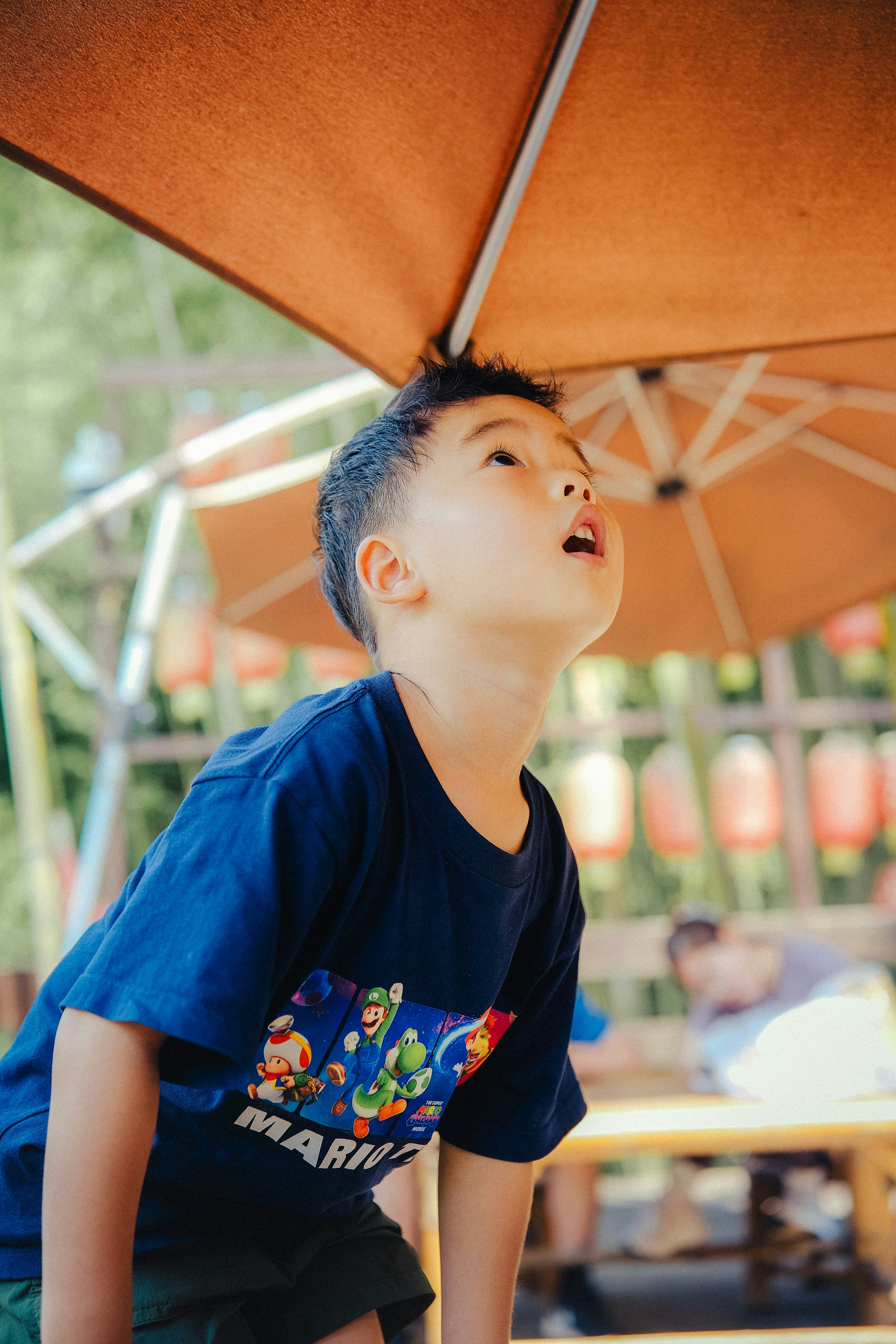 Under the Orange Canopy: A Boy Reaches for the Sky