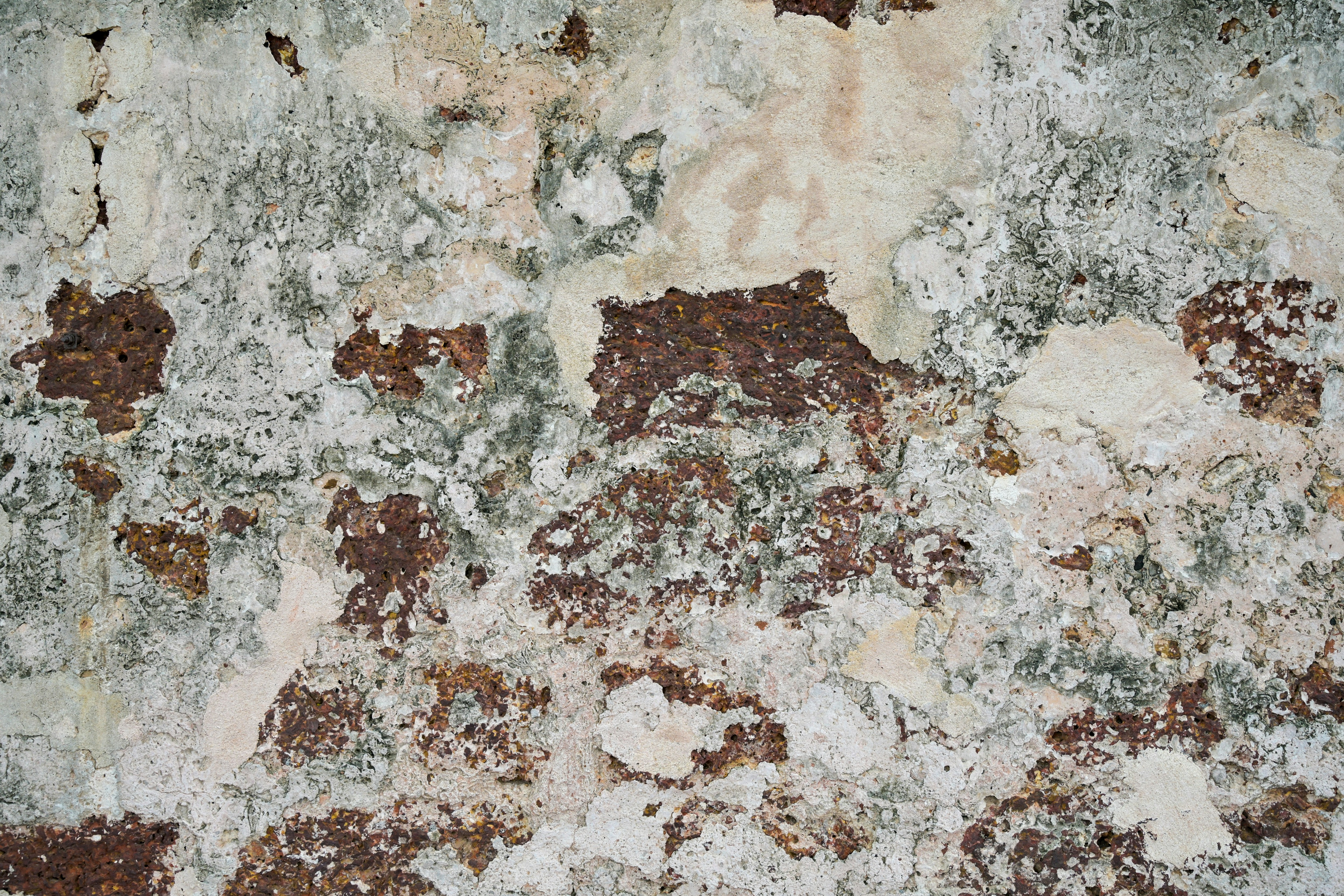 Weathered Facade: Moss and Lichen Carved into Stone