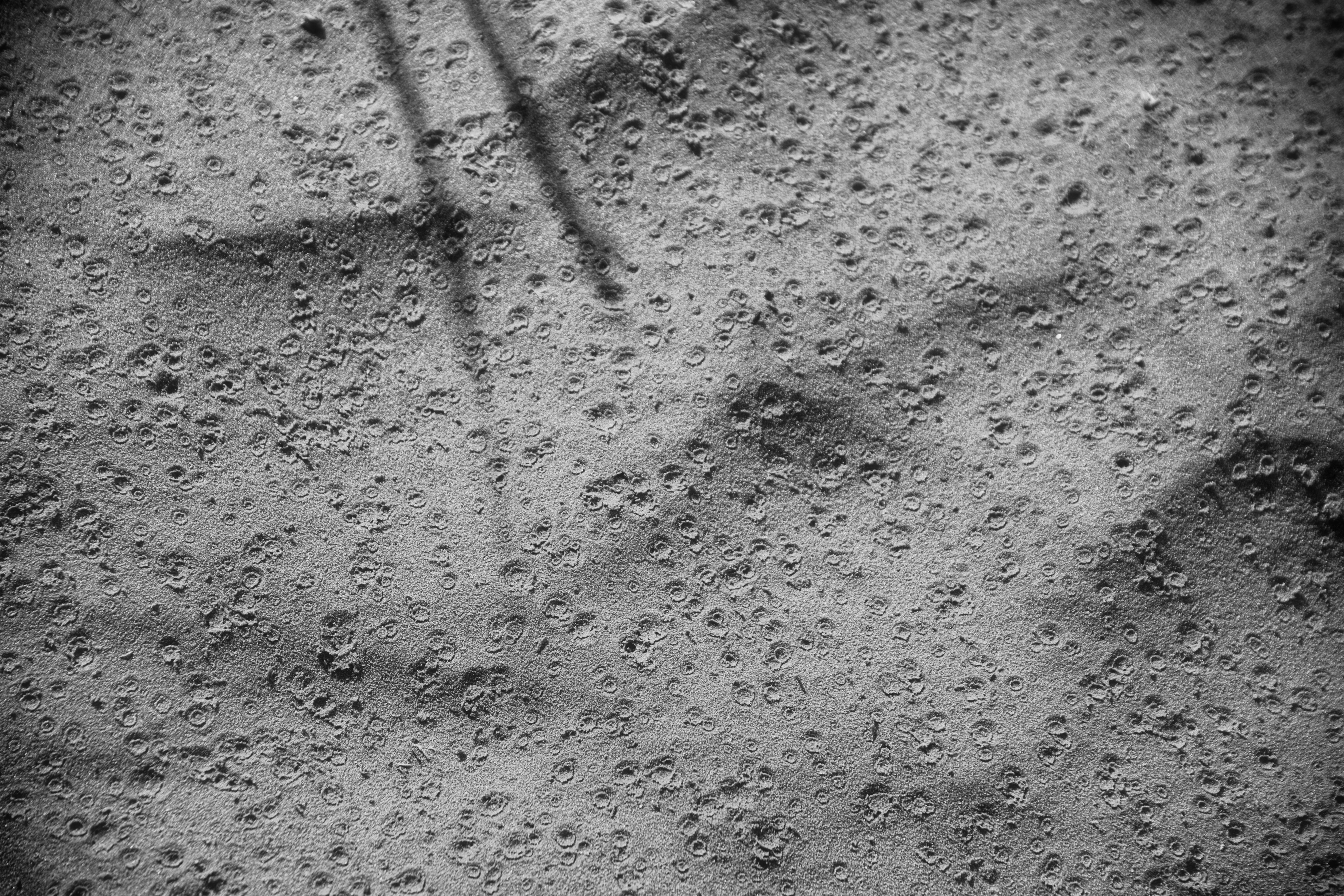 Close-up of a cratered, lunar-like surface with granular texture and soft shadows, emphasizing tactile details and subtle variations in tone.