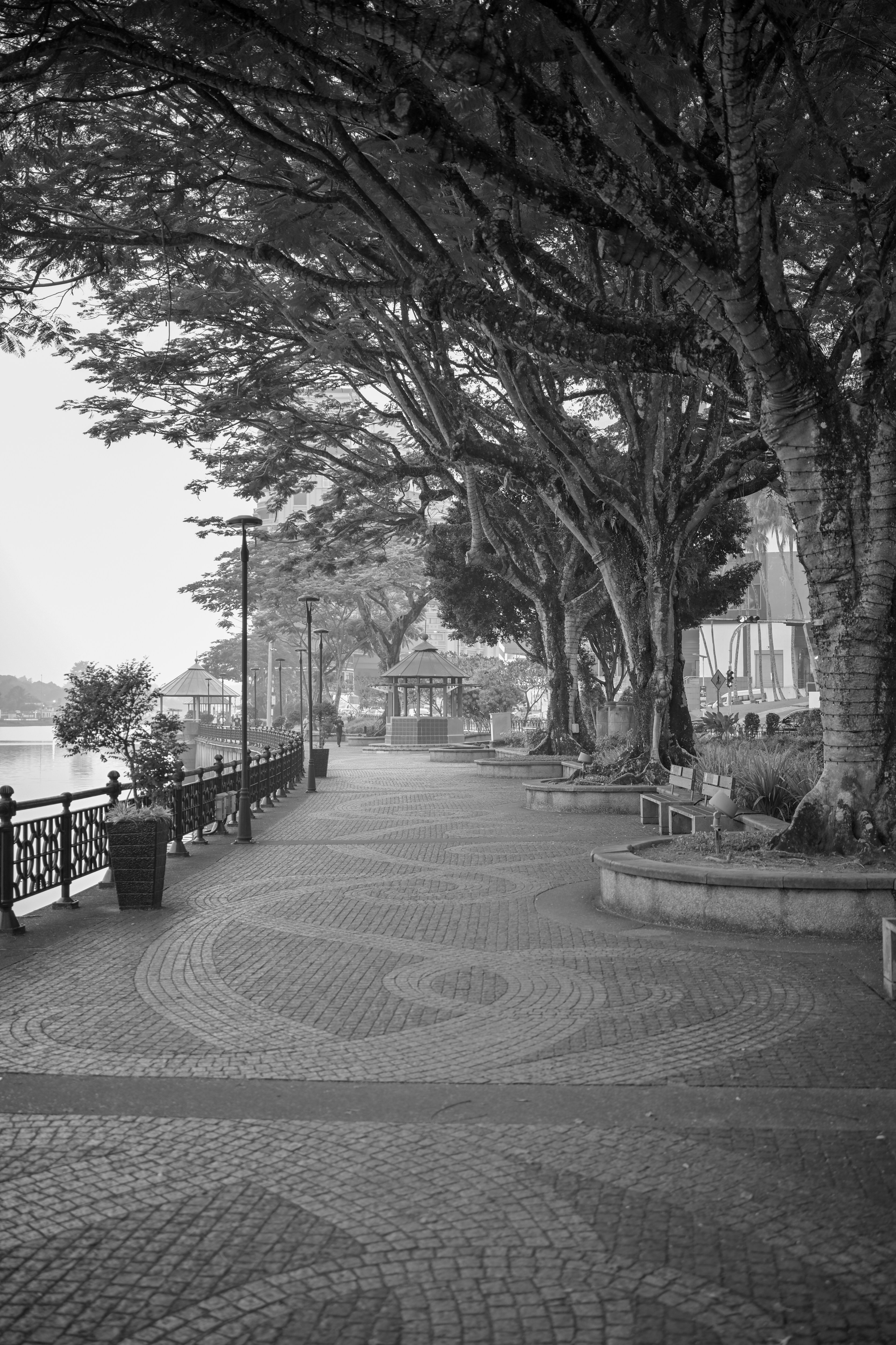 Shaded Boardwalk Along a Quiet Waterfront