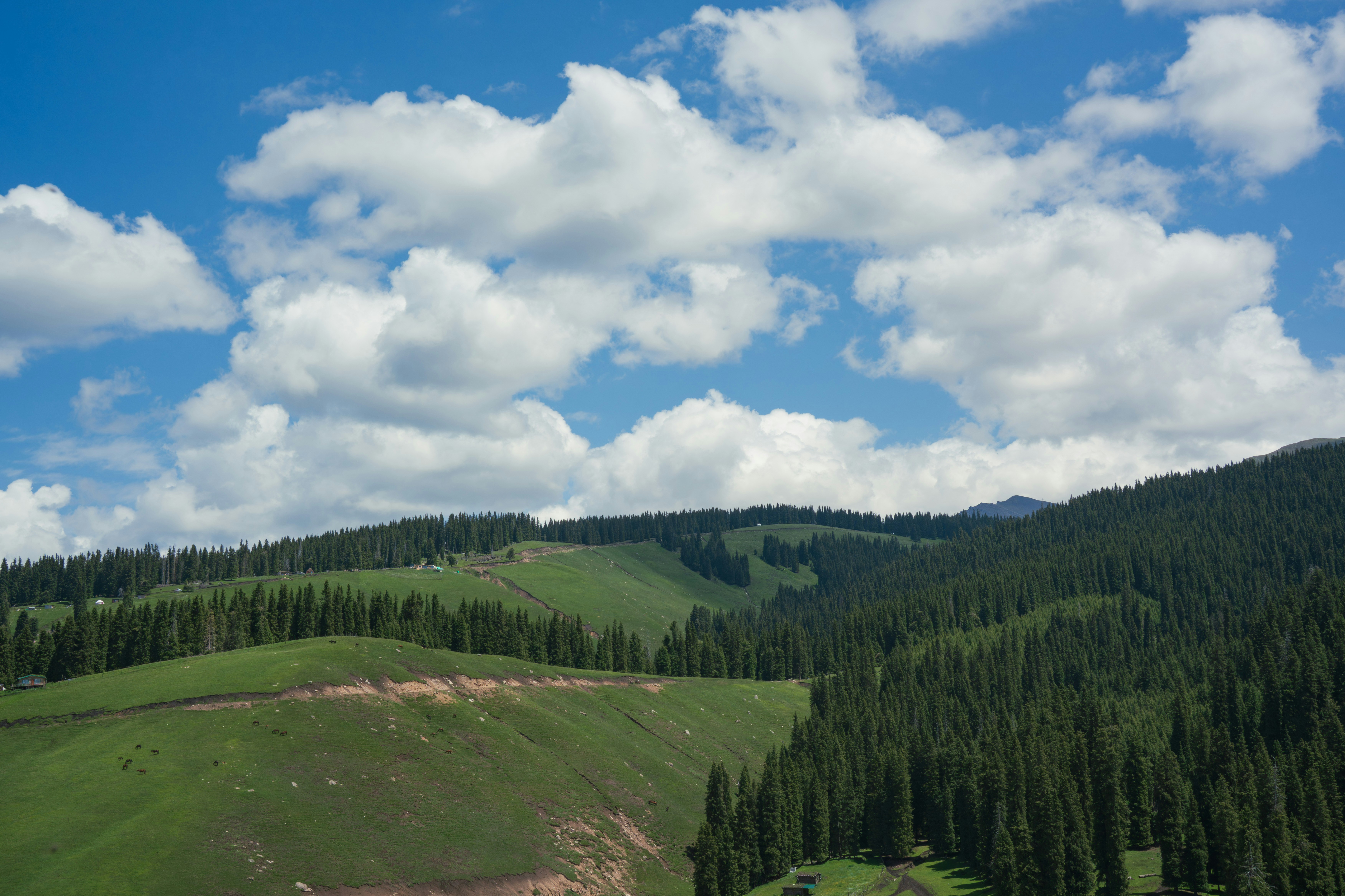 Calm Valley Ridge Under a Lyrical Sky