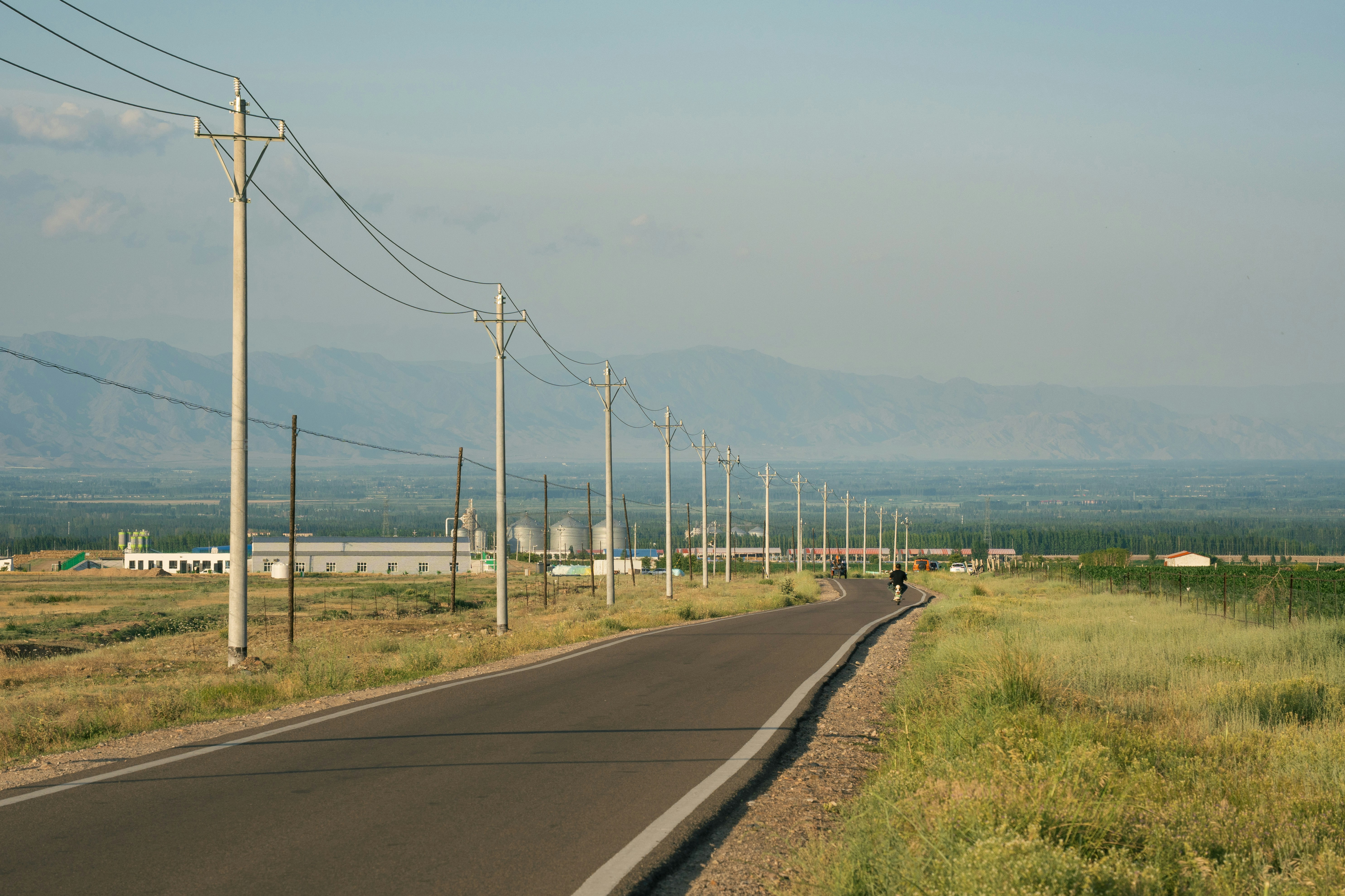 Road to the Horizon: A Quiet Line of Poles and Pedestrian in a Mesic Flatscape
