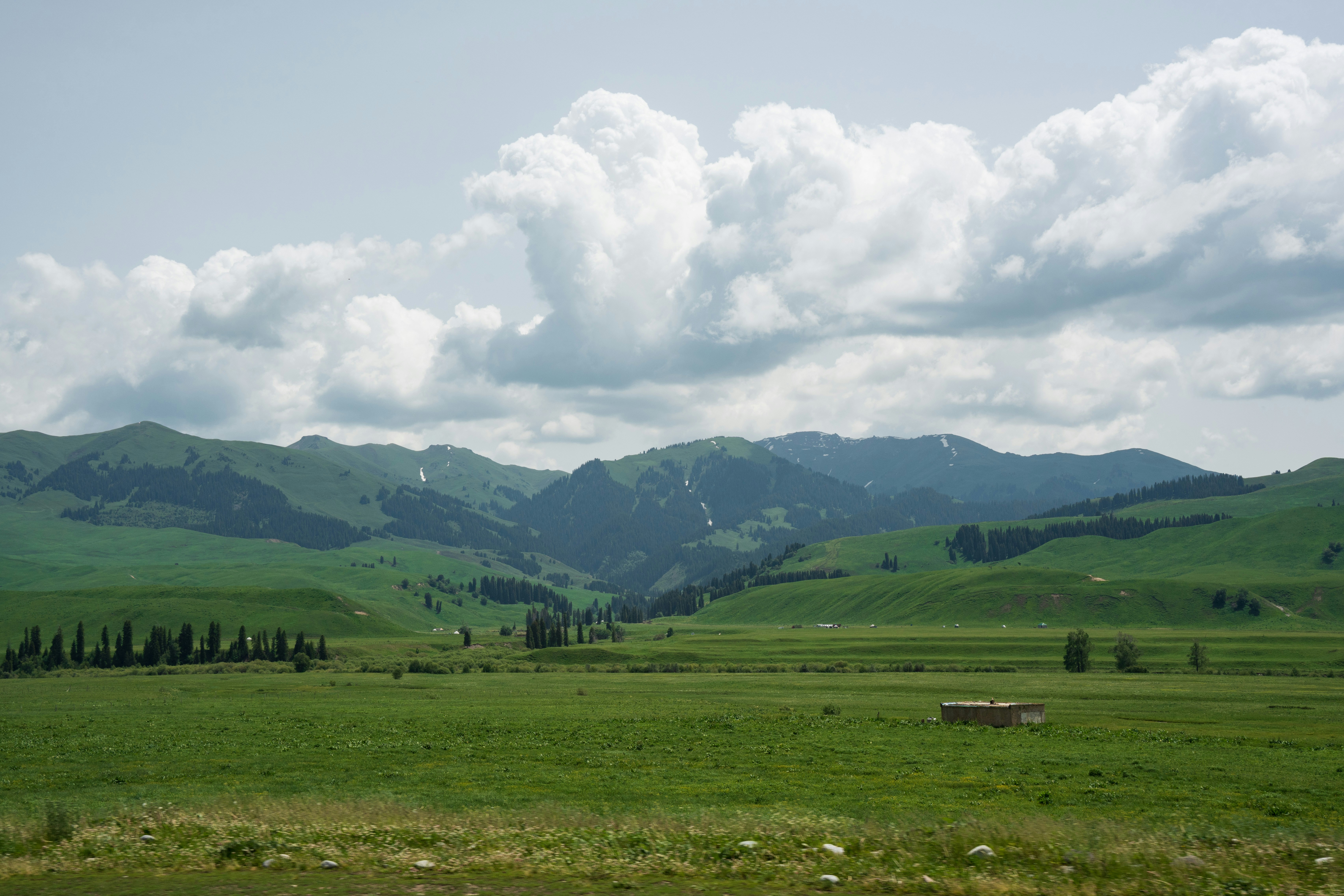Pastoral Valley Beneath the Cloud-Soft Summit