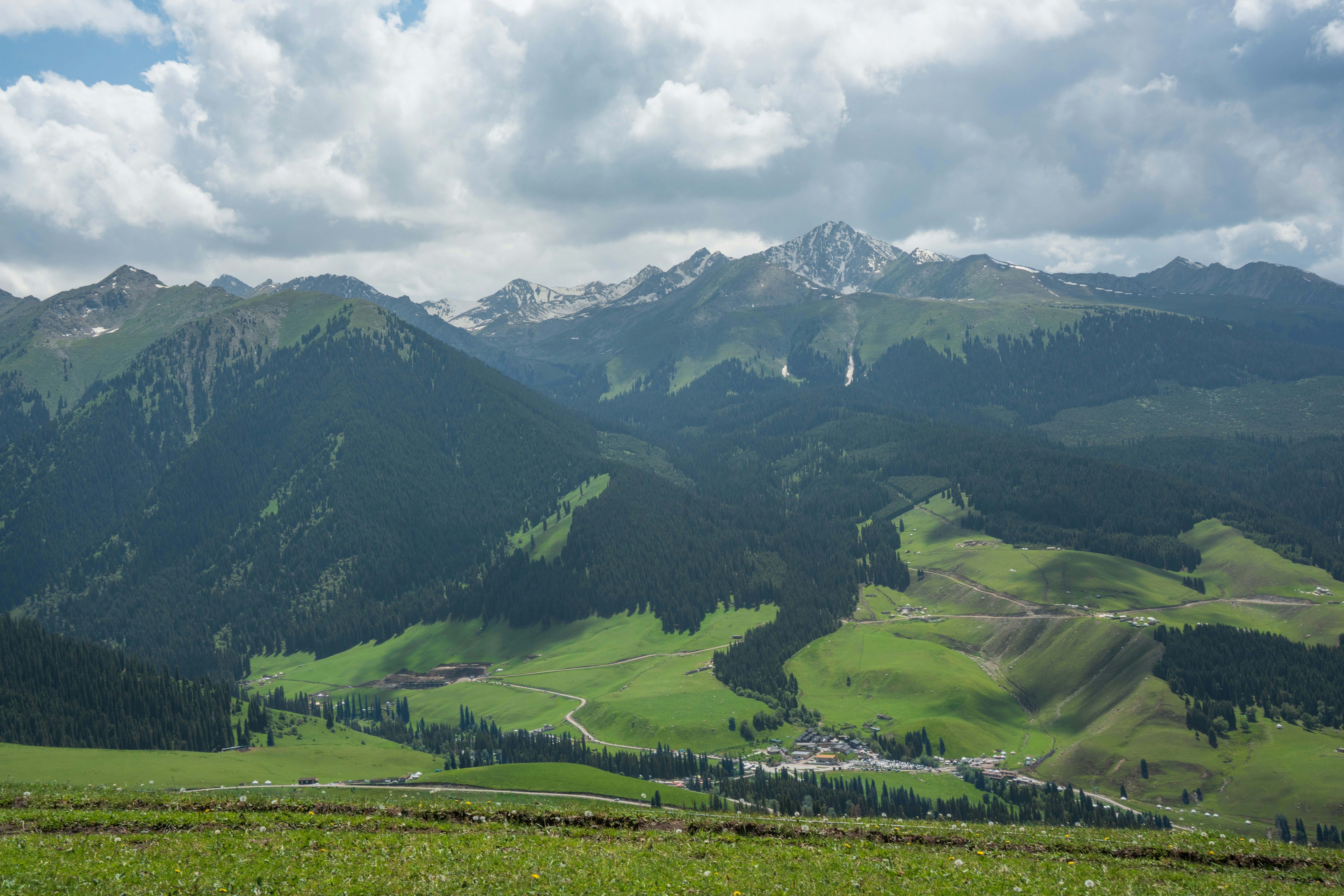 Green Weave Over the Alpine Spine
