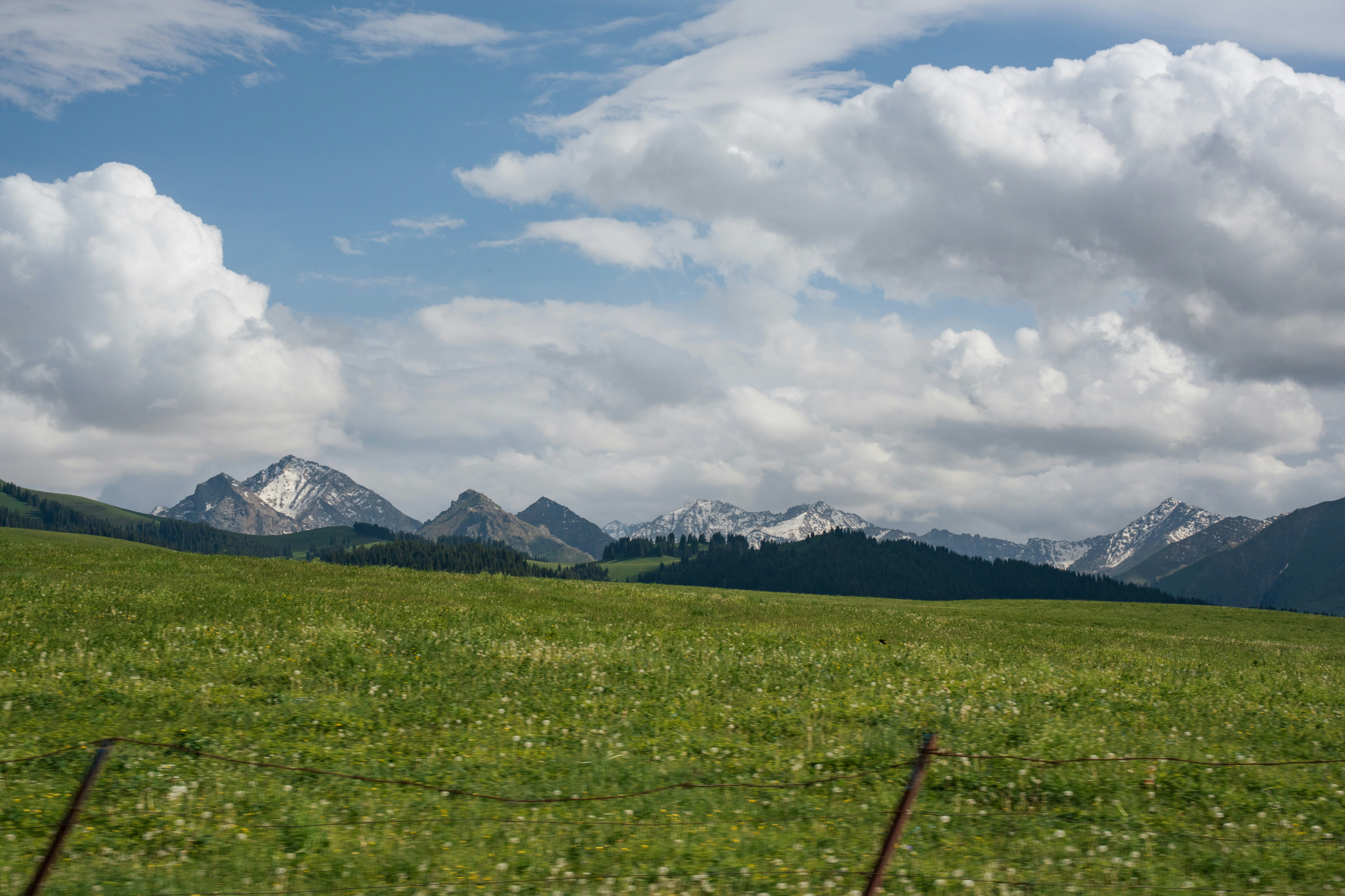 Wide Alpine Meadow under a Sky of Puffed Clouds