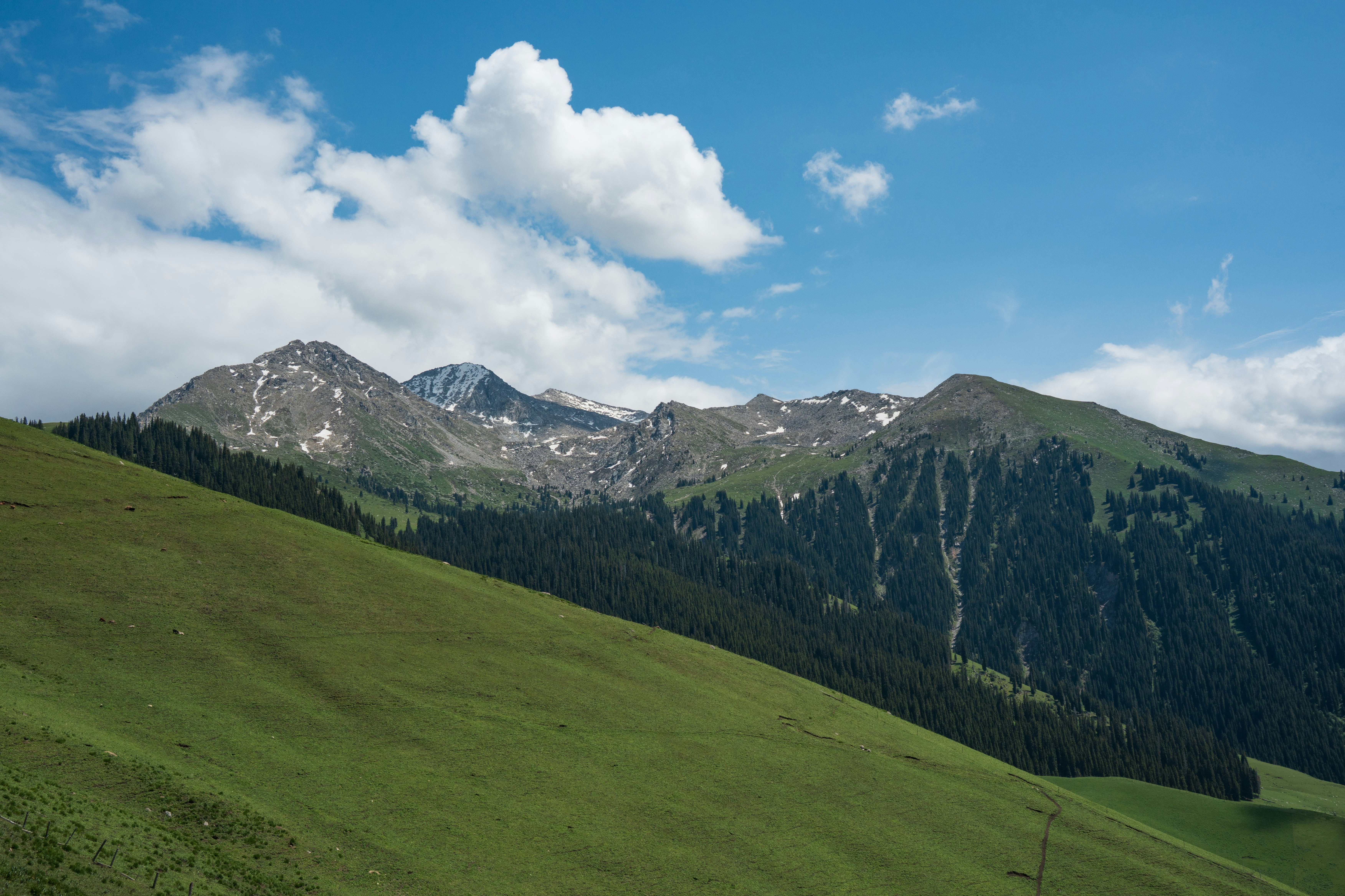 A Cresting Green Ridge Beneath Alpine Sky