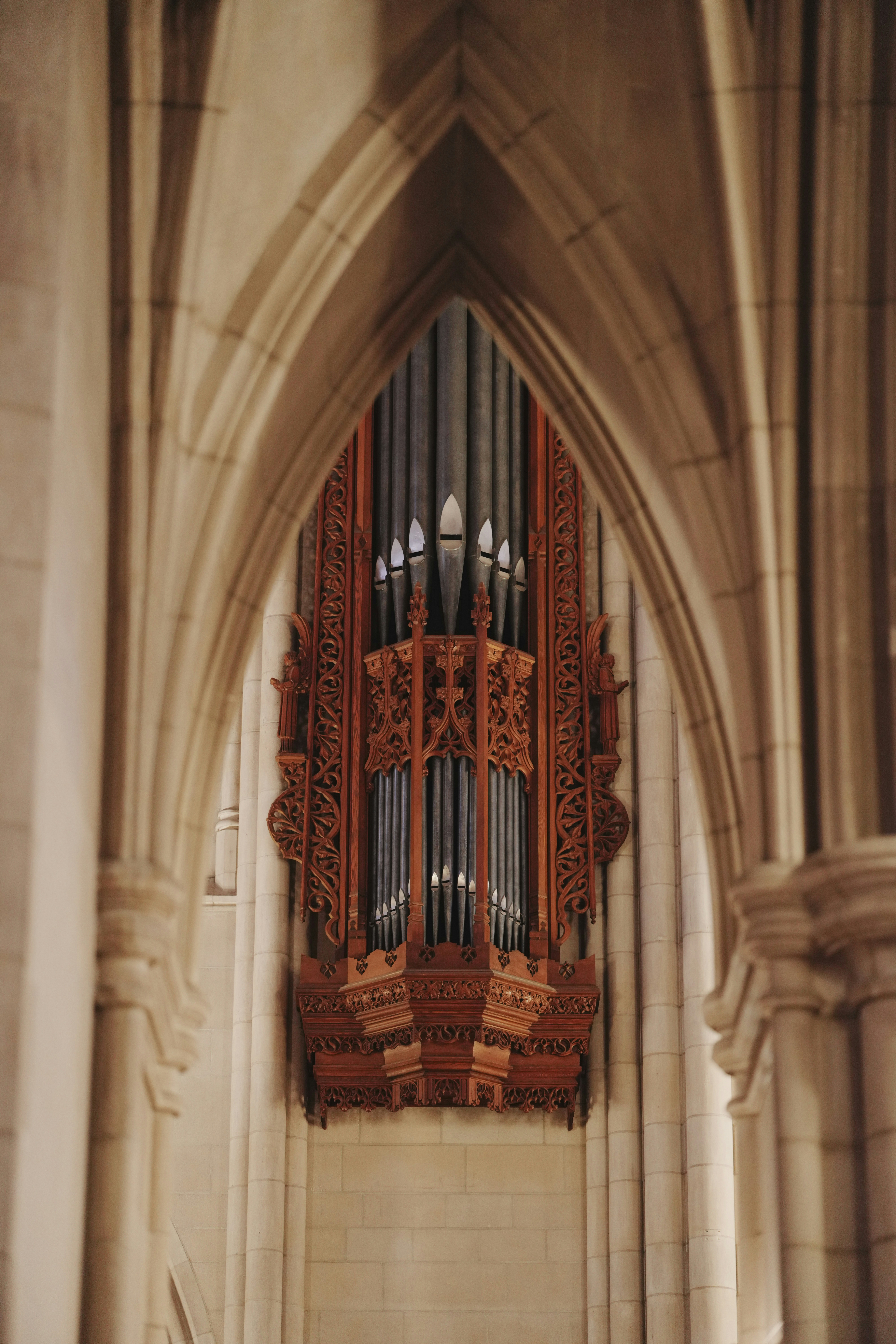 Ornate Pipe Organ Framed by Gothic Arches