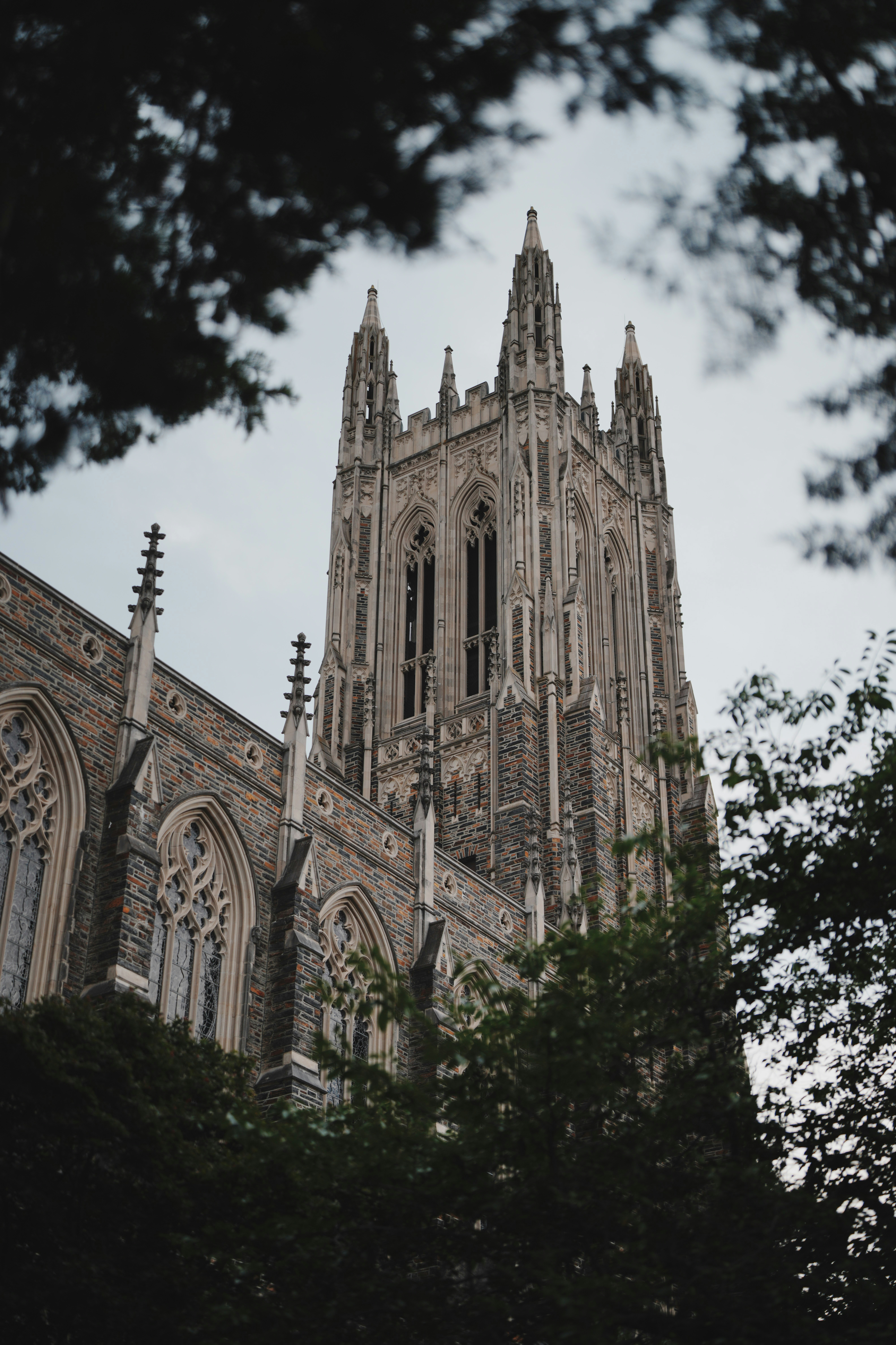 Gothic Spire Rising Above Verdant Foreground