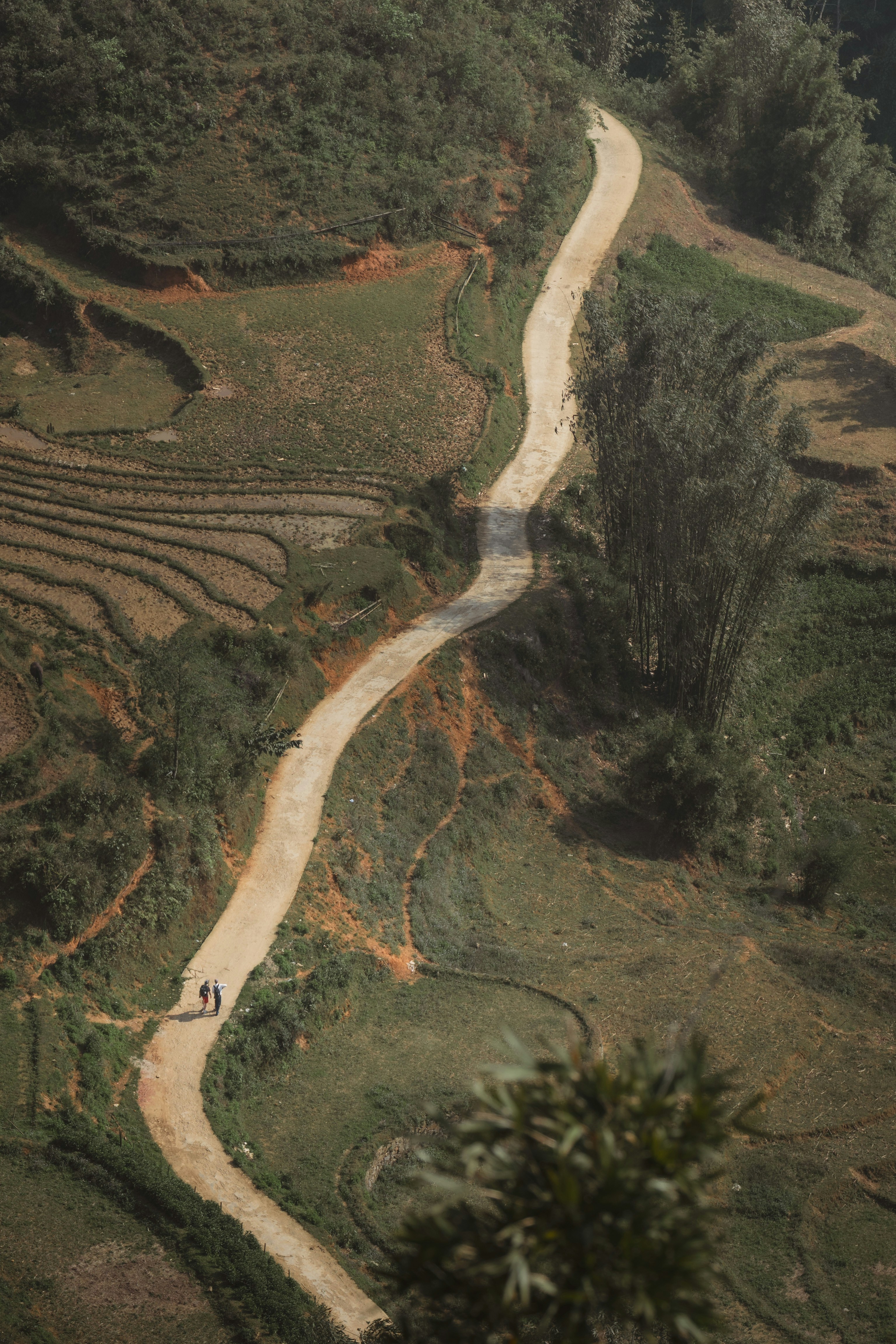 Winding Path Through Terraced Hills