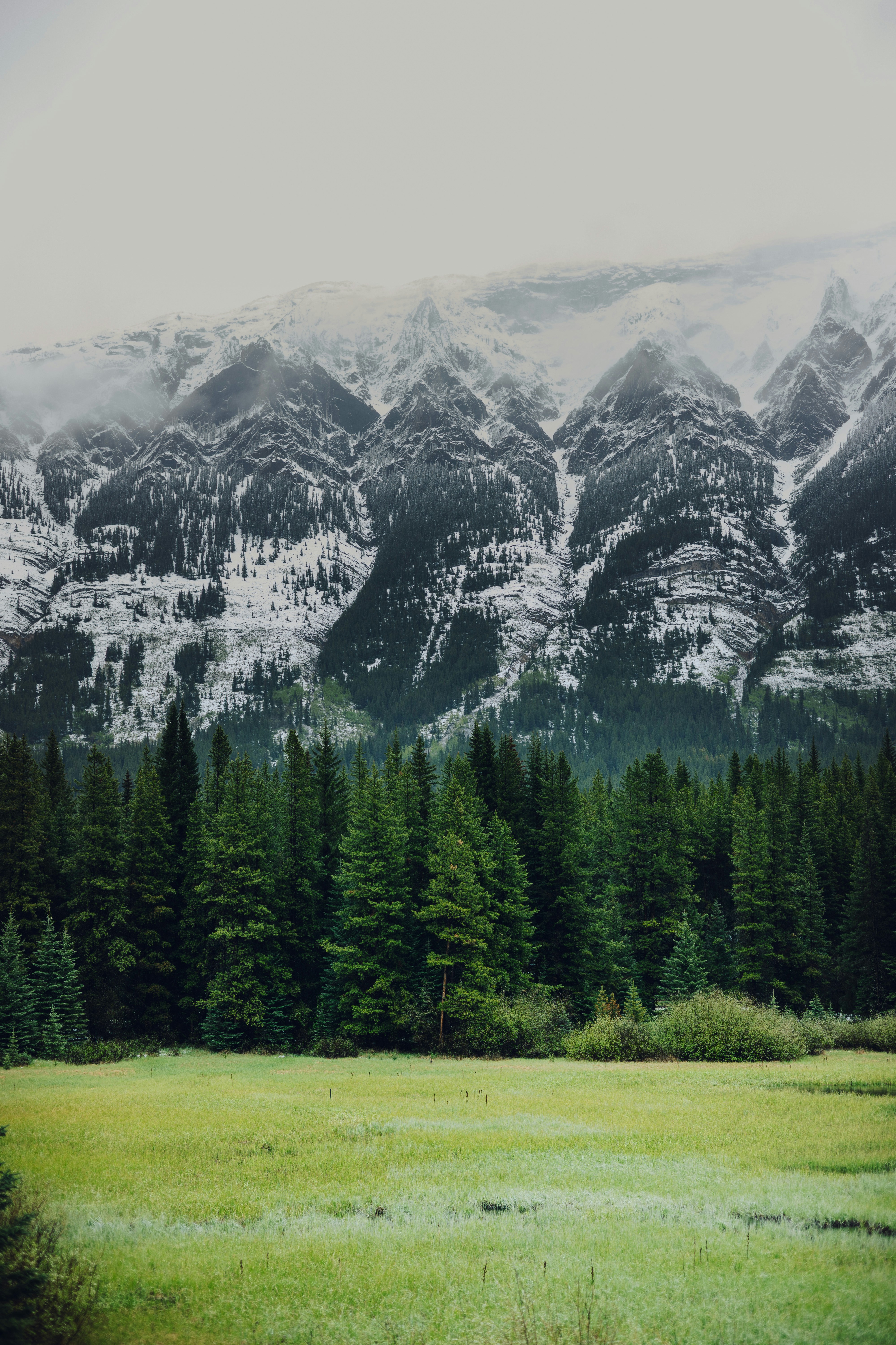 Snow-Capped Peaks Over a Quiet Alpine Meadow