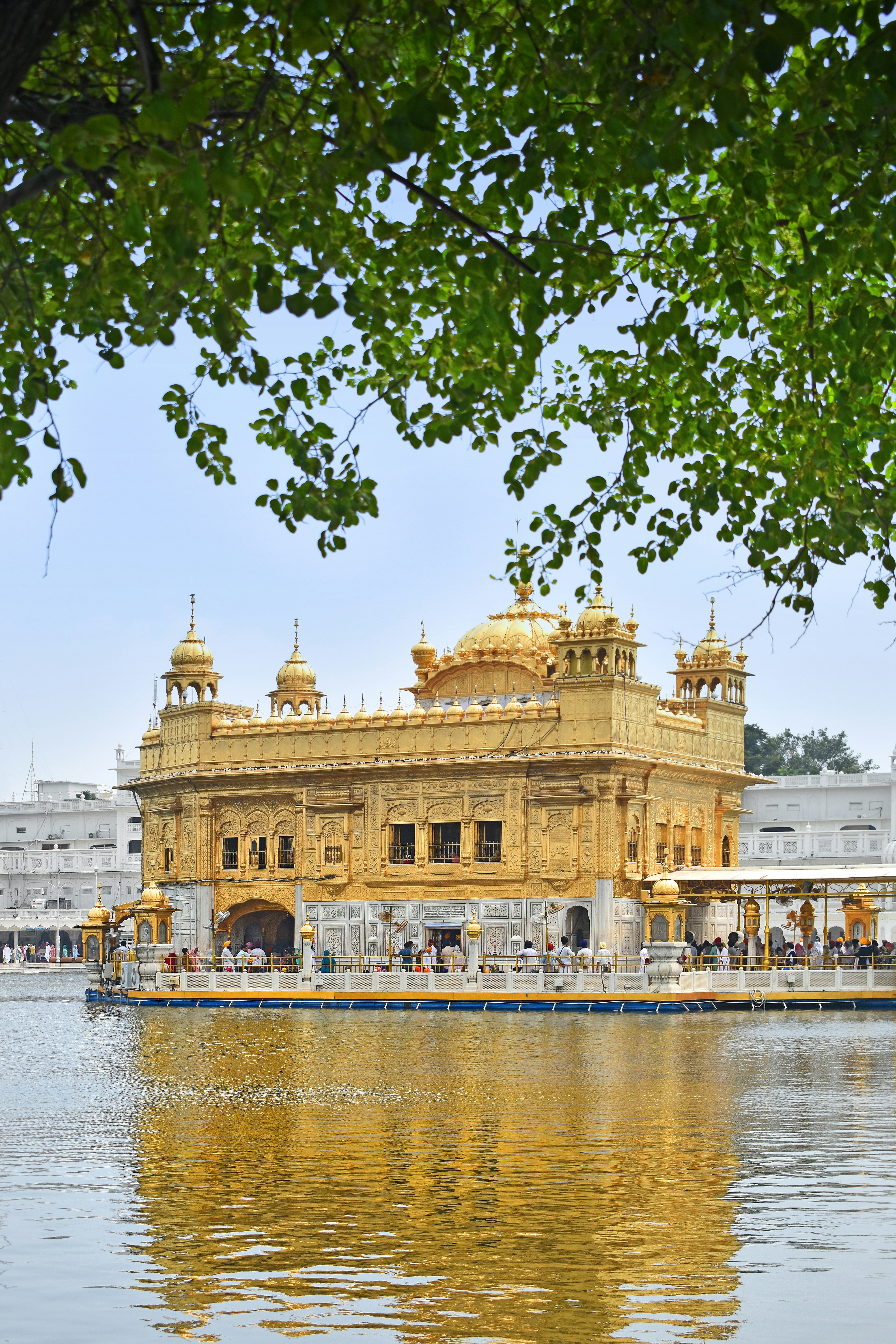 Golden Temple Reflections: Shrine of Light Amid Serene Waters