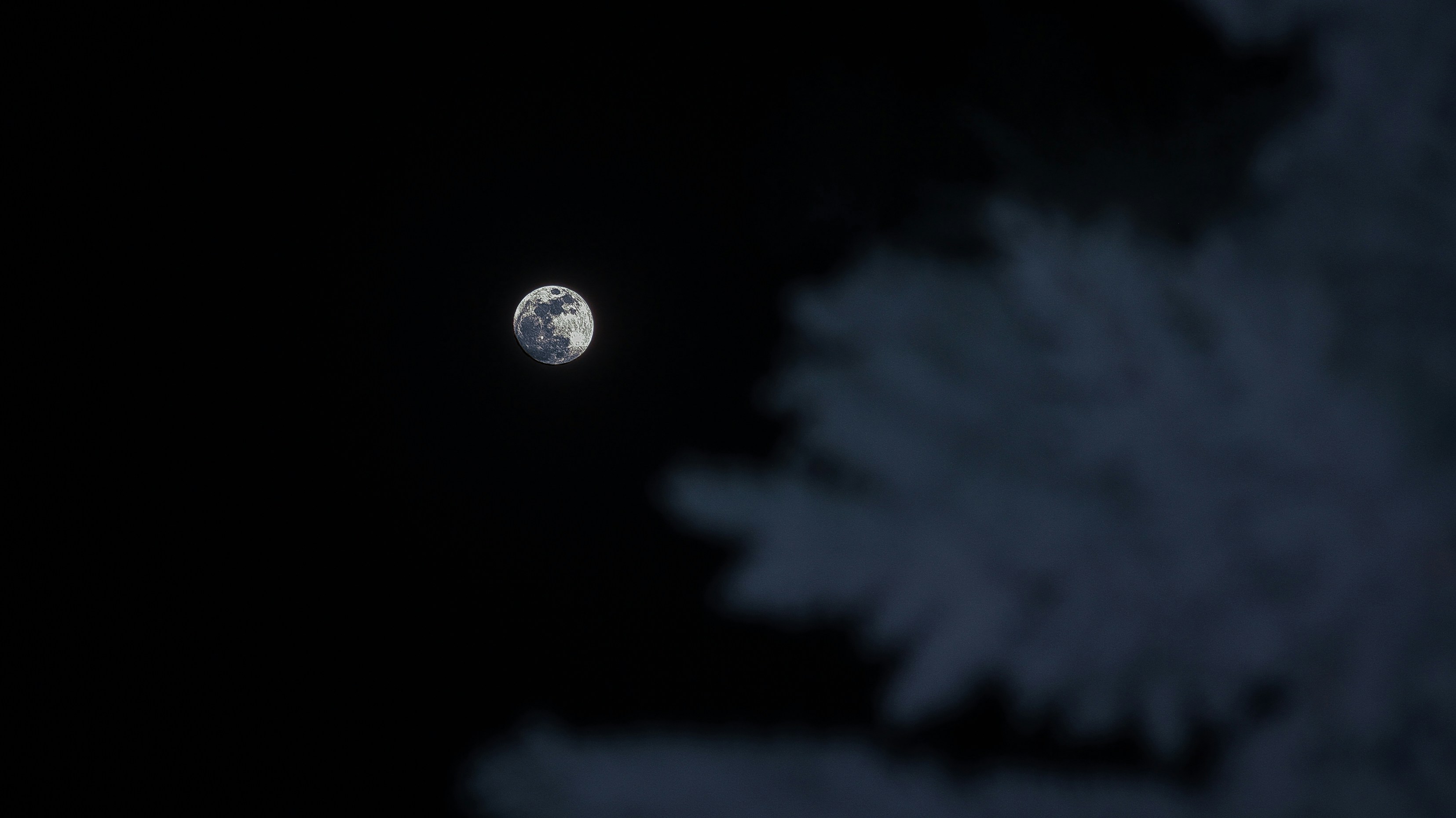 Moonlit Night: A Lonely Satellite Watches Over Silent Pines
