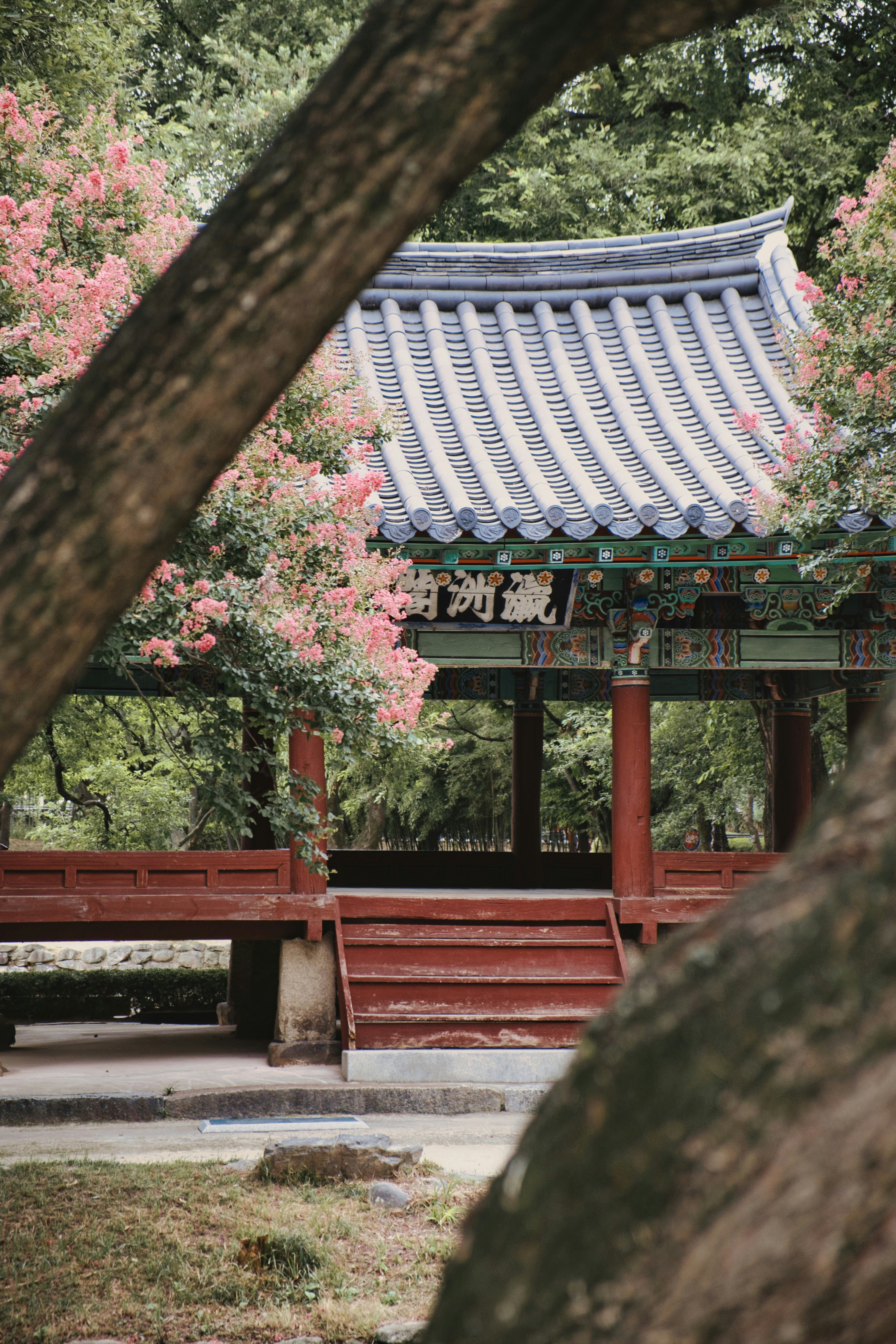 Silent Temples Through a Petal Framed View
