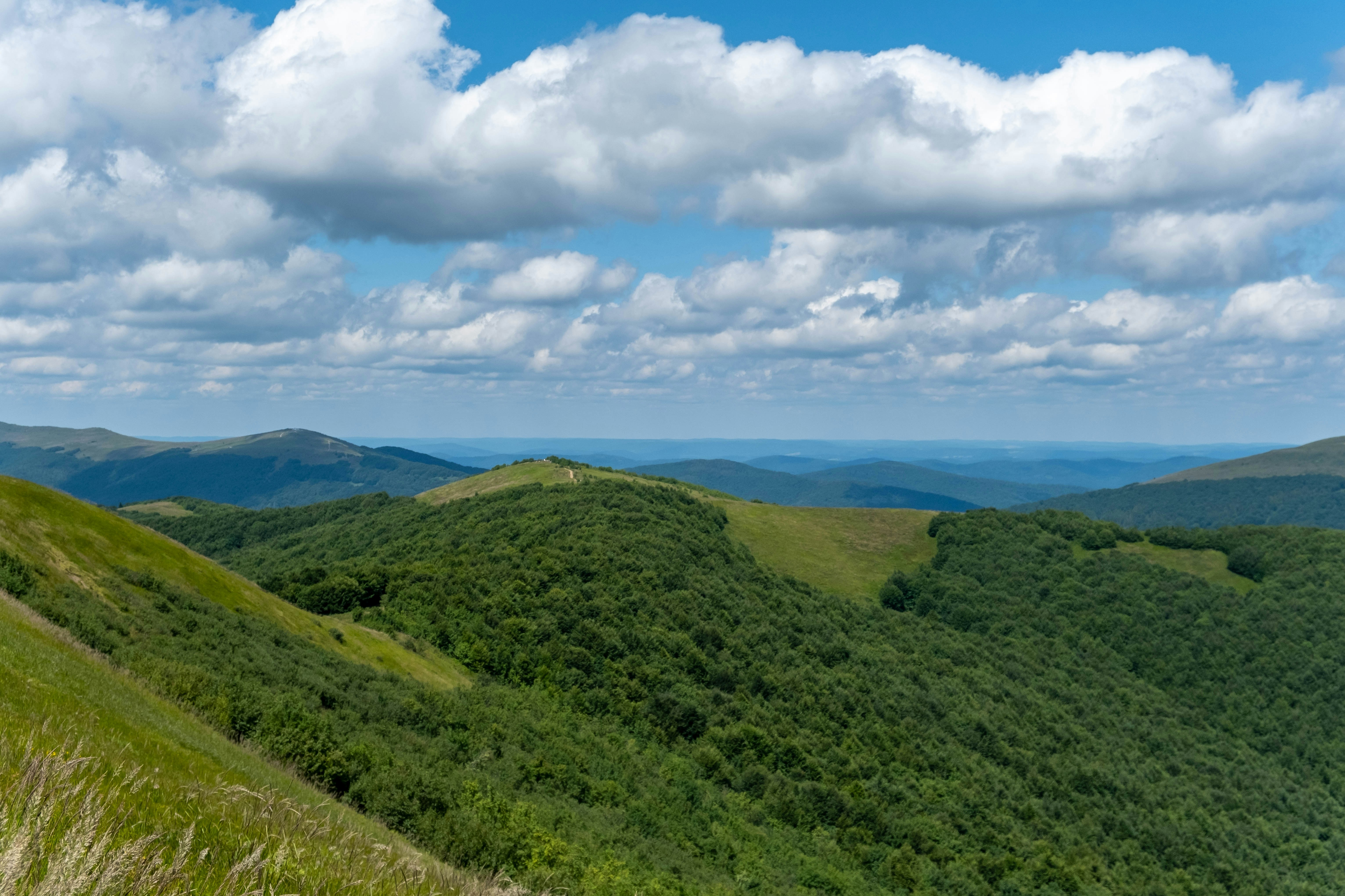 Verdant Ridge under a Serene Sky