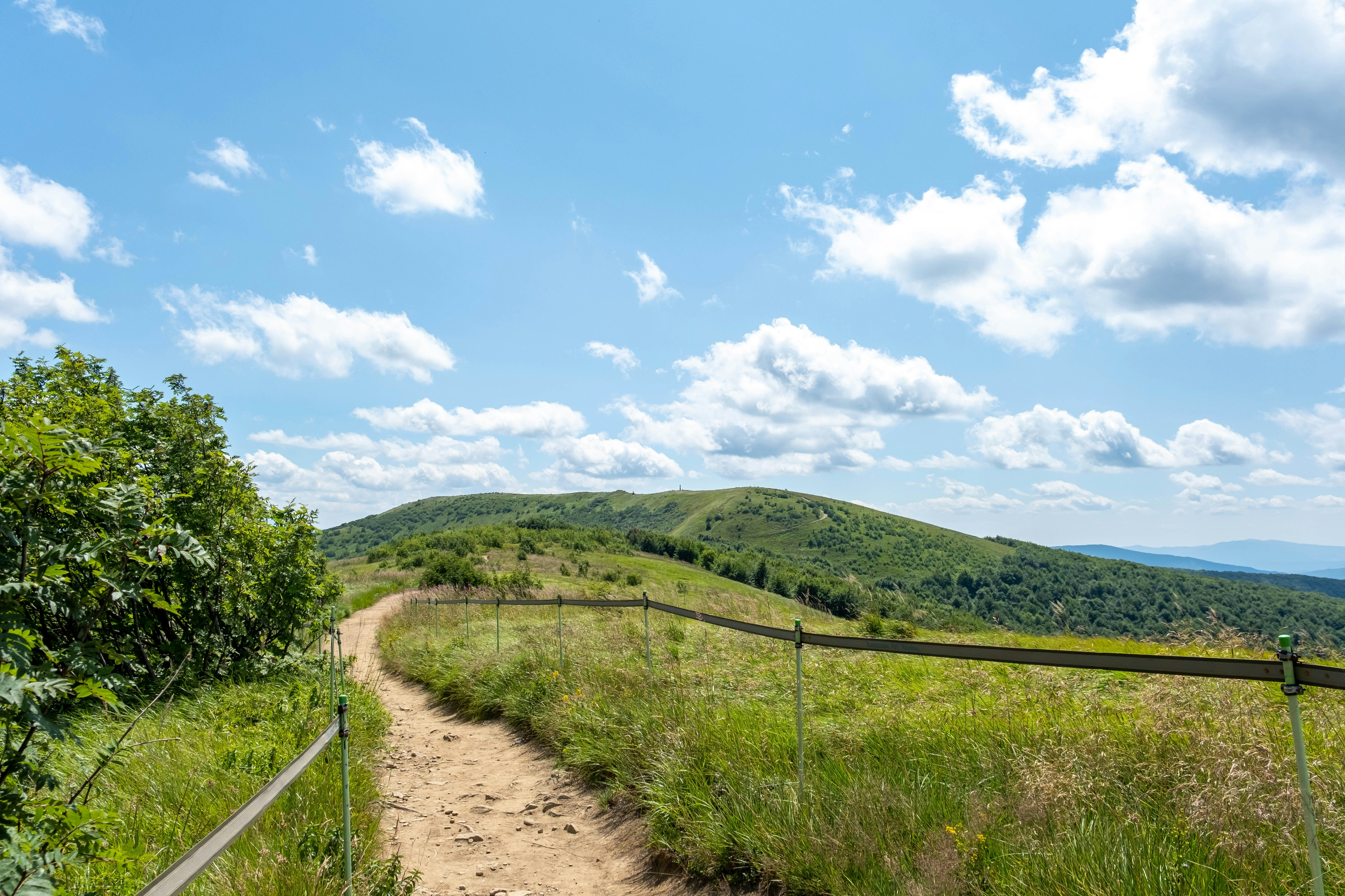 Footpath to the Hills: A Summery Trail under Voluminous Skies