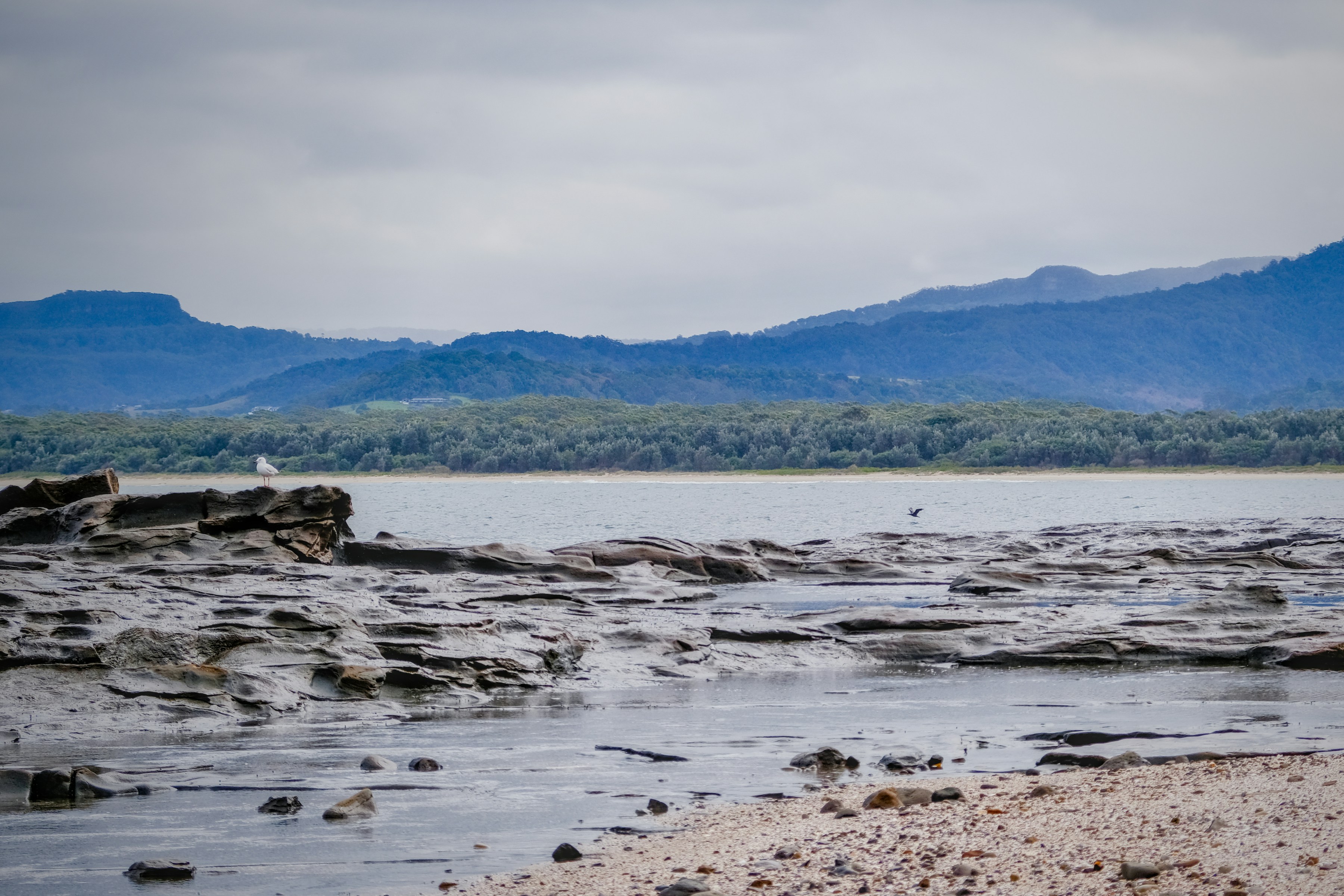Rugged shoreline beneath rolling hills under a soft overcast sky