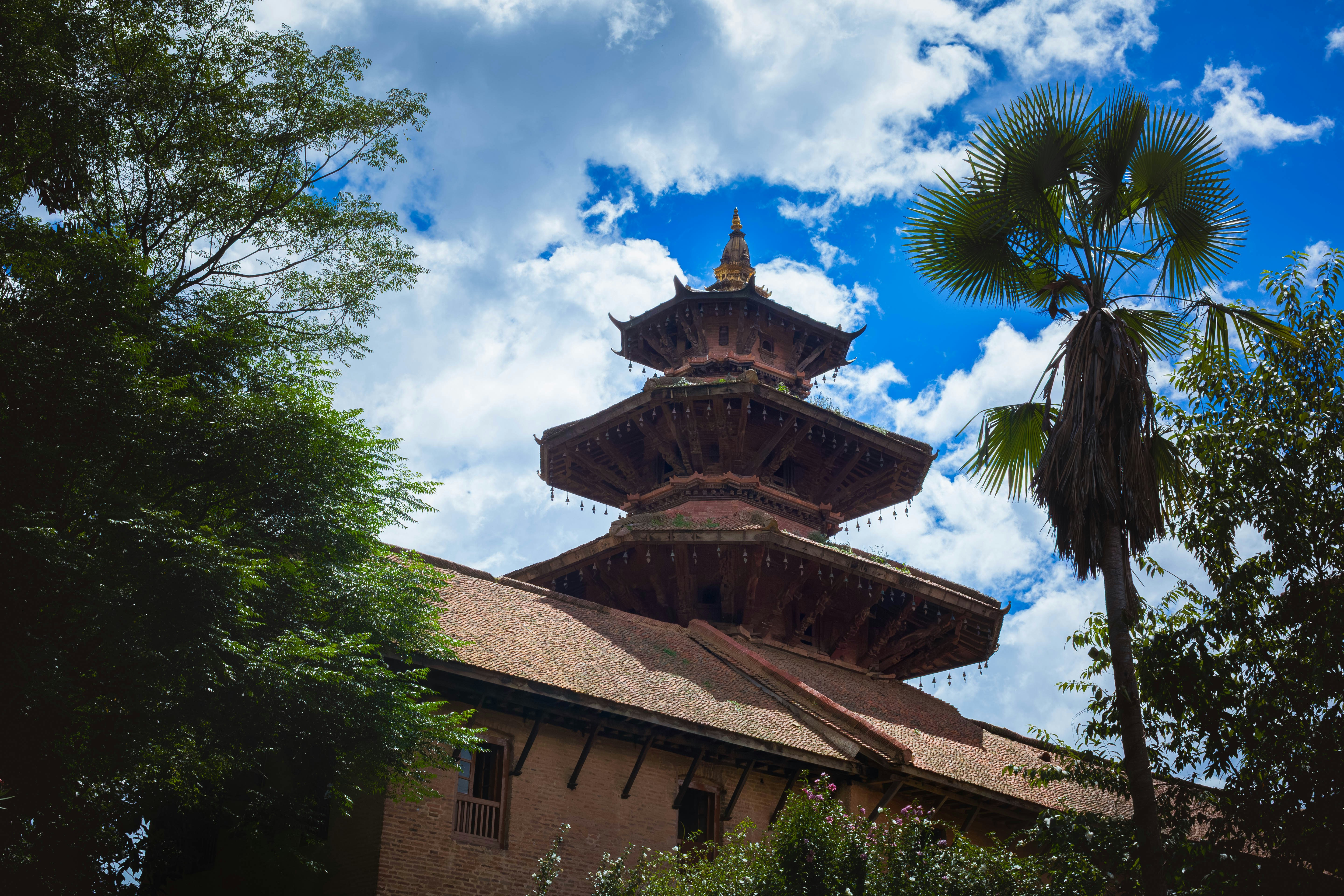 Multi-tiered pagoda rises above surrounding greenery under a bright sky, with a palm tree and foliage framing the scene.