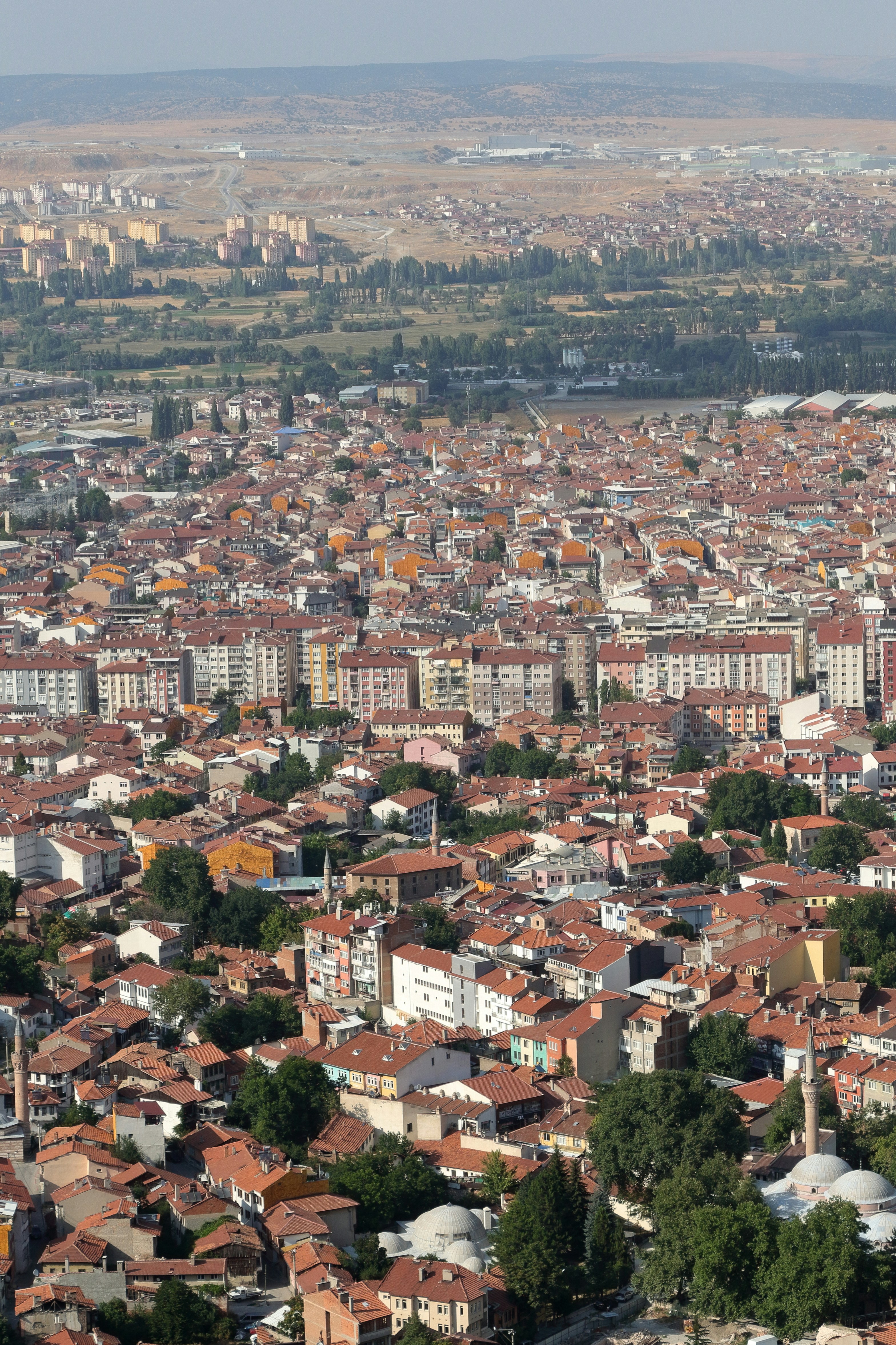 A Patchwork of Red Roofs: A Panoramic Townscape from Above
