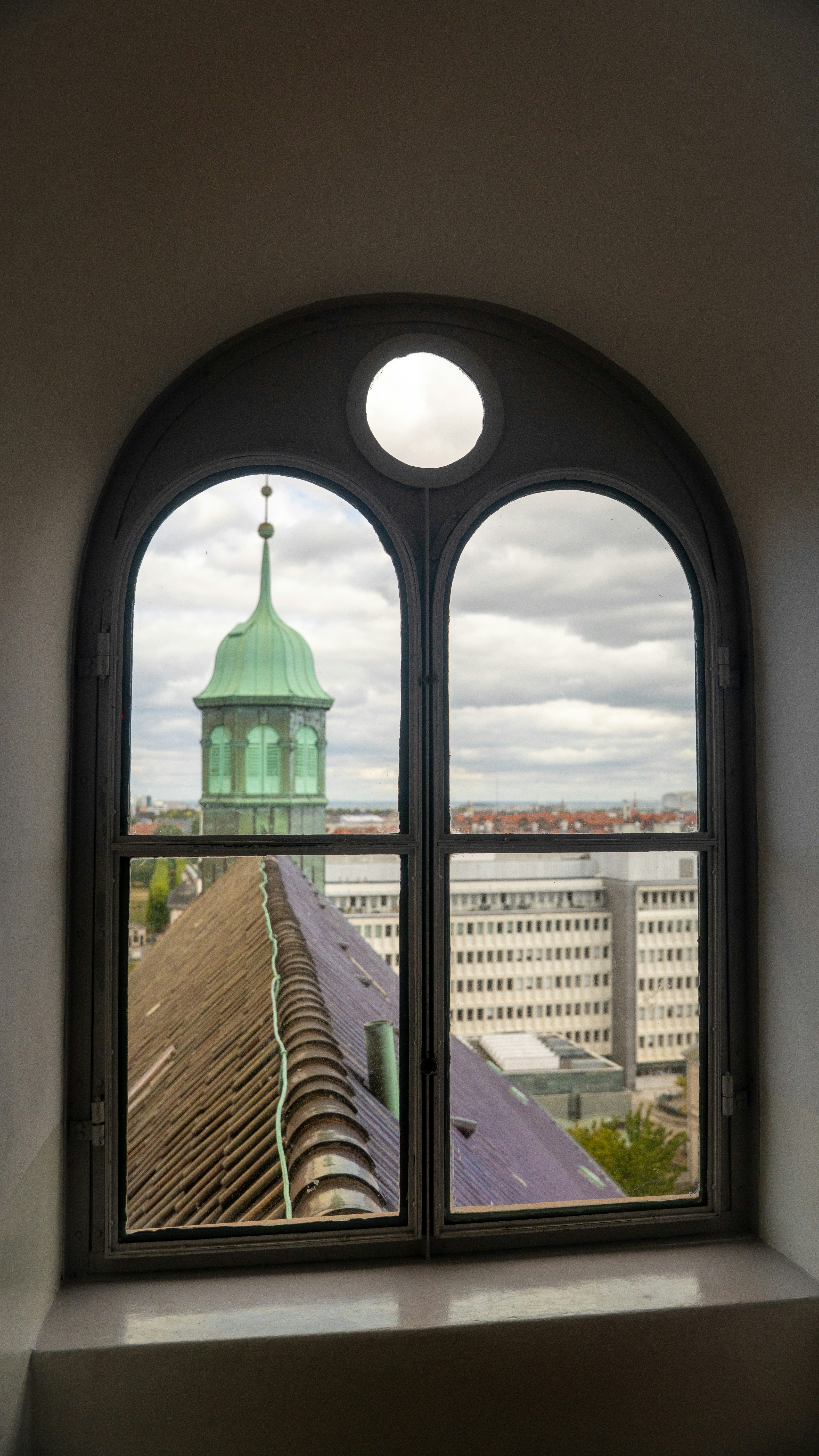 A Narrow View from a Rooftop Window Toward a Green Steward of the City