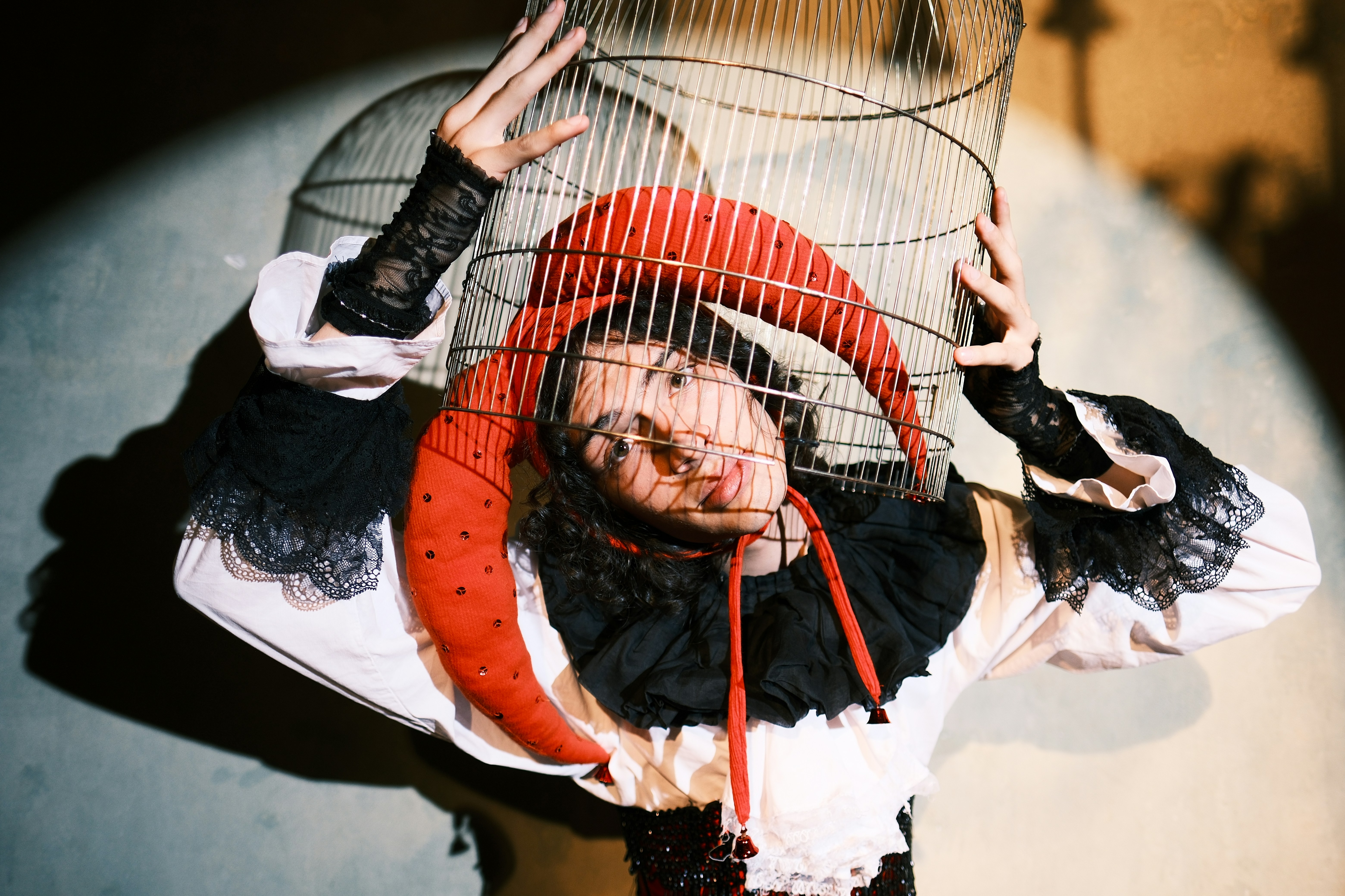 Birdcage Fulcrum: A Portrait of Confinement and Color