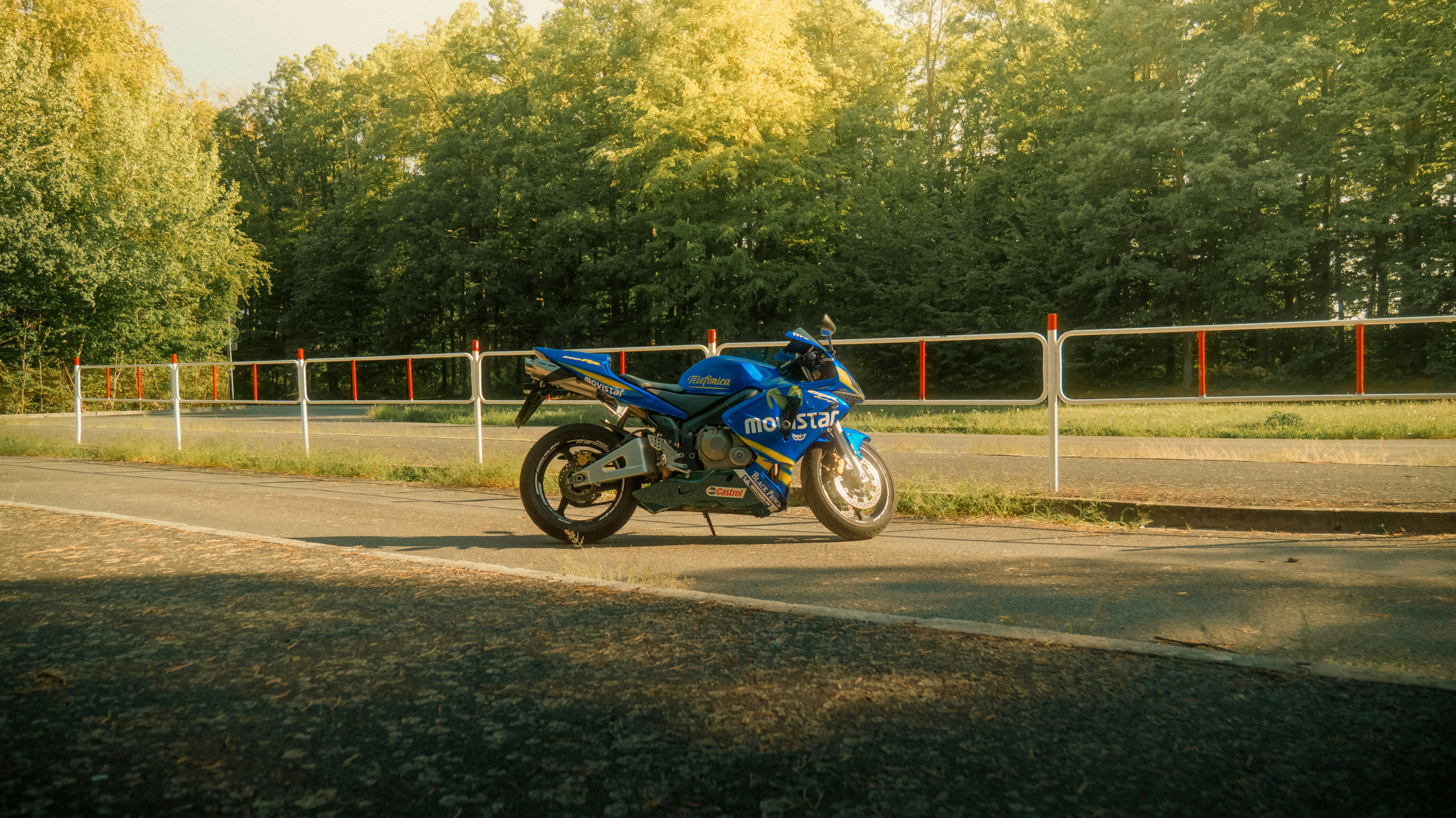 Blue Street Phantom: A Racing Bike Pauses by the Park Gate