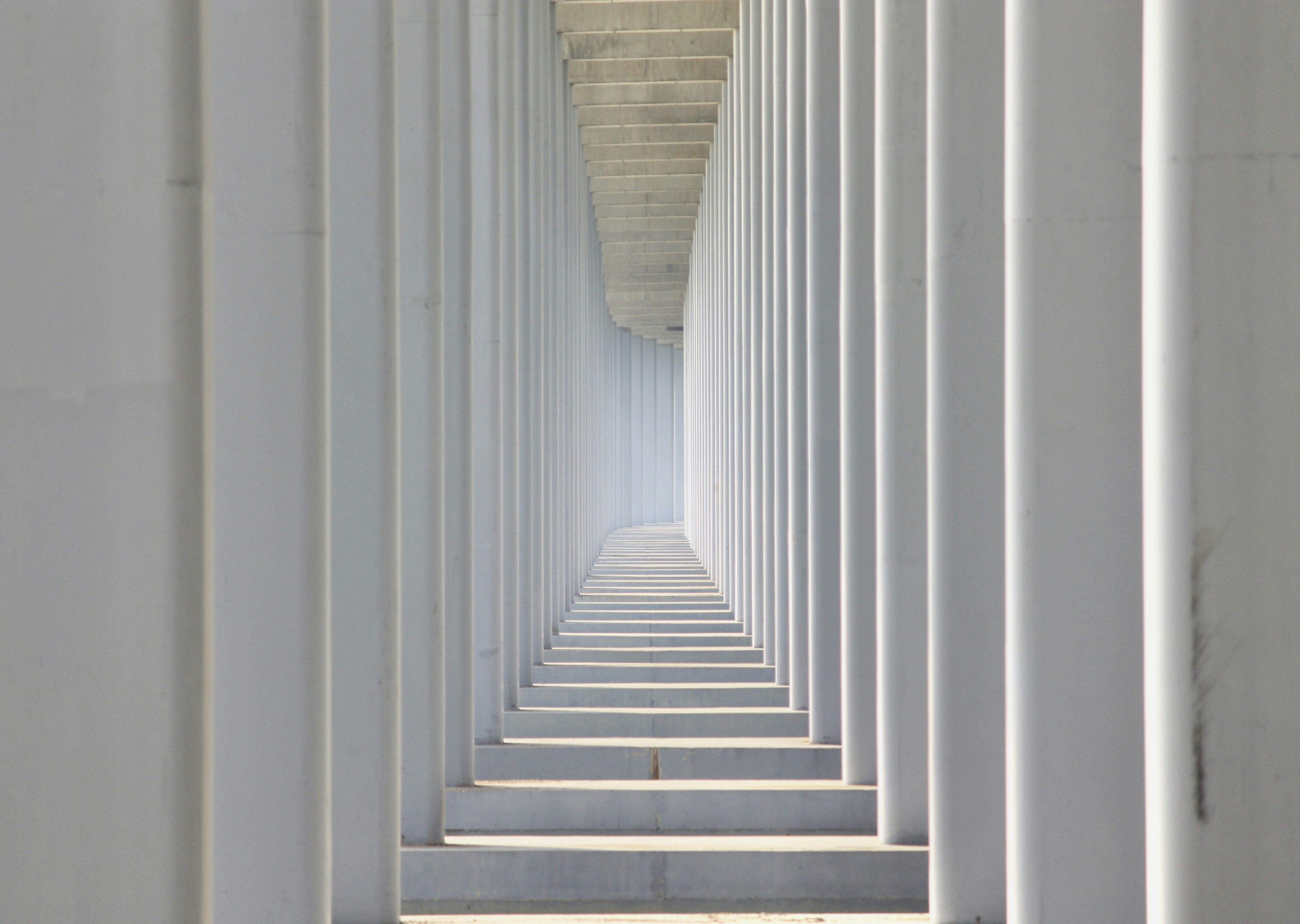 Parallel Lines into Light: A Corridor of Columns