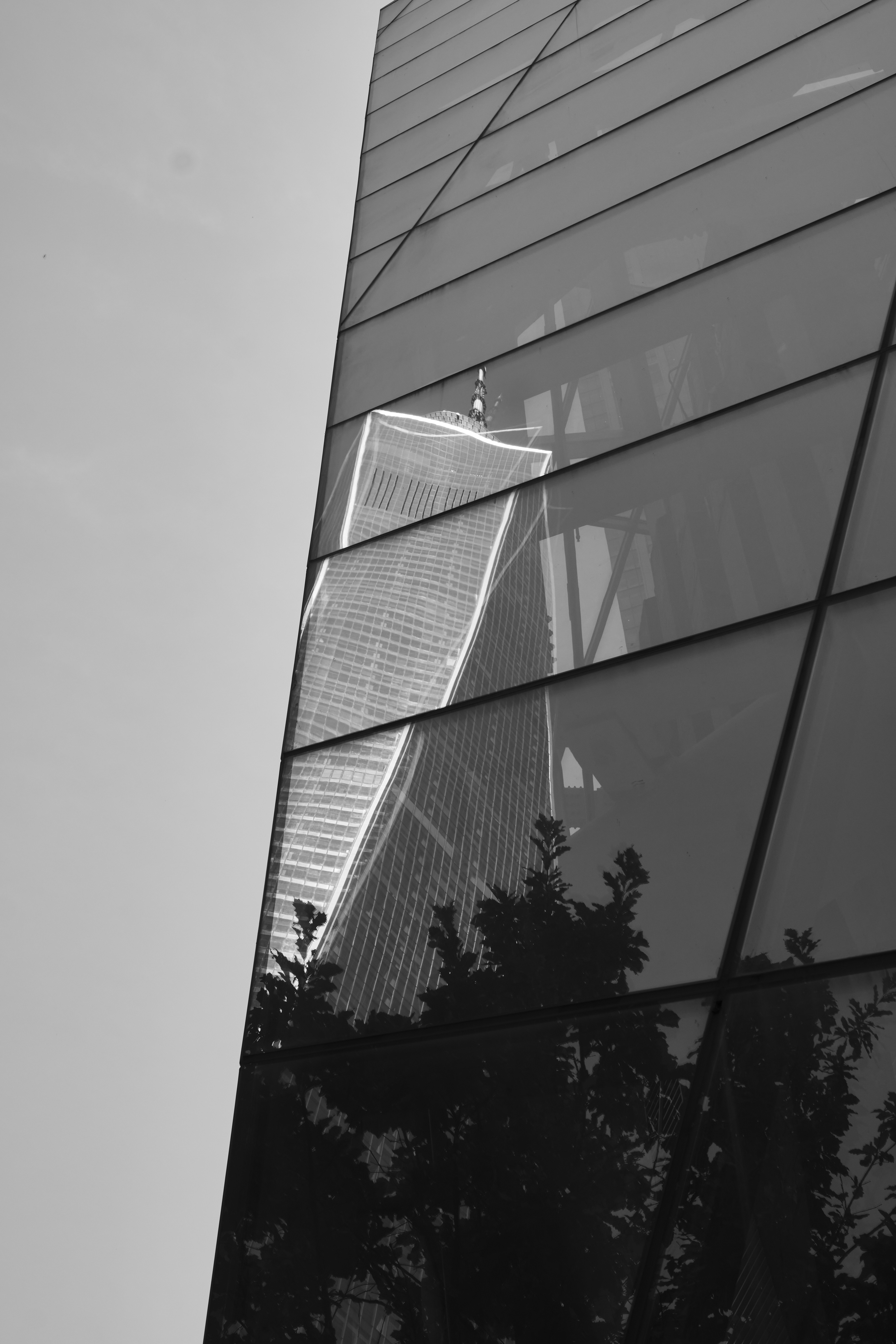 Glass Facade Mirror: A Skewed Perspective of a Skyscraper In a Modern Tower