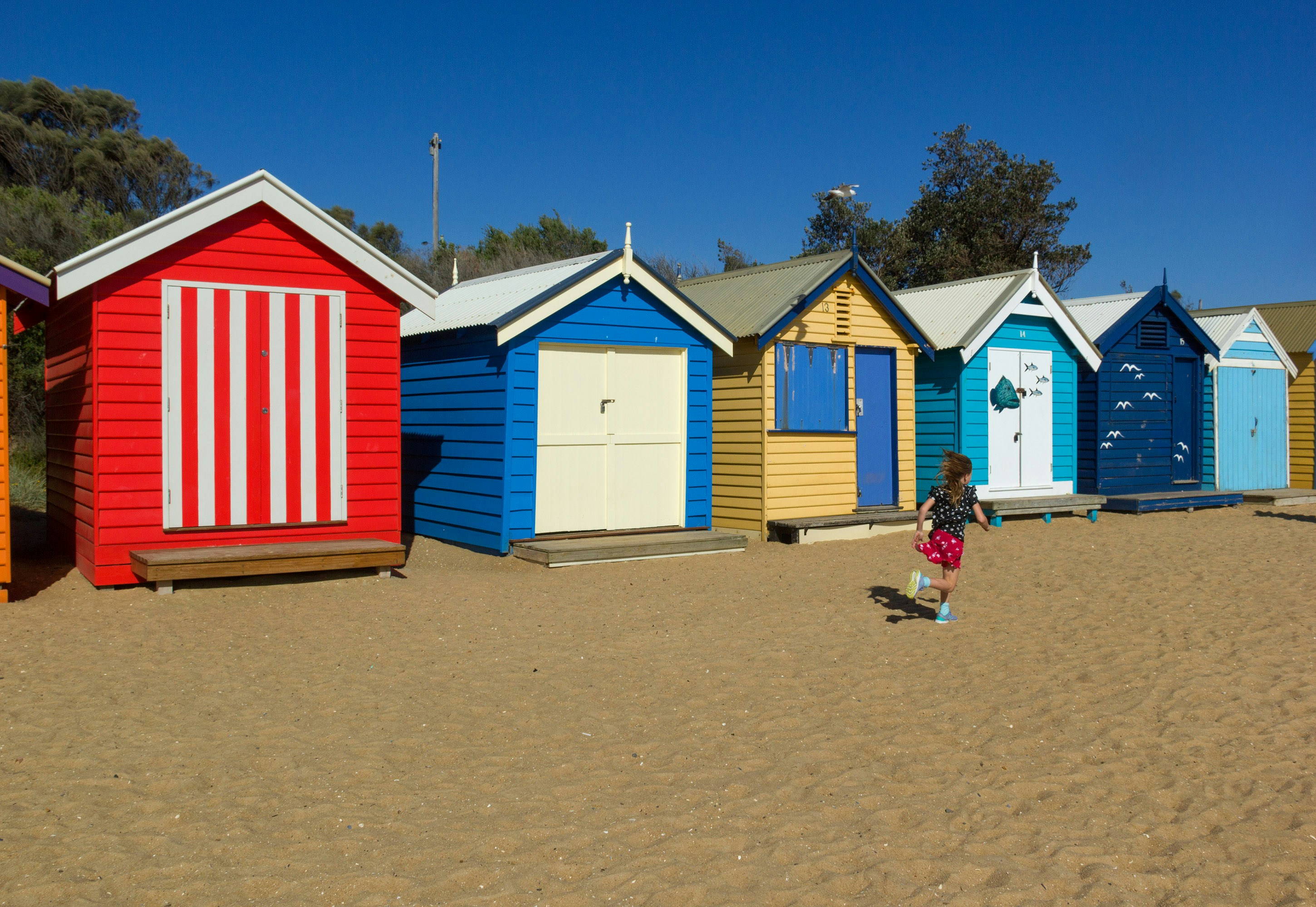 Color Parade on the Beach: A Row of Vibrant Cabins and a Curious Runner